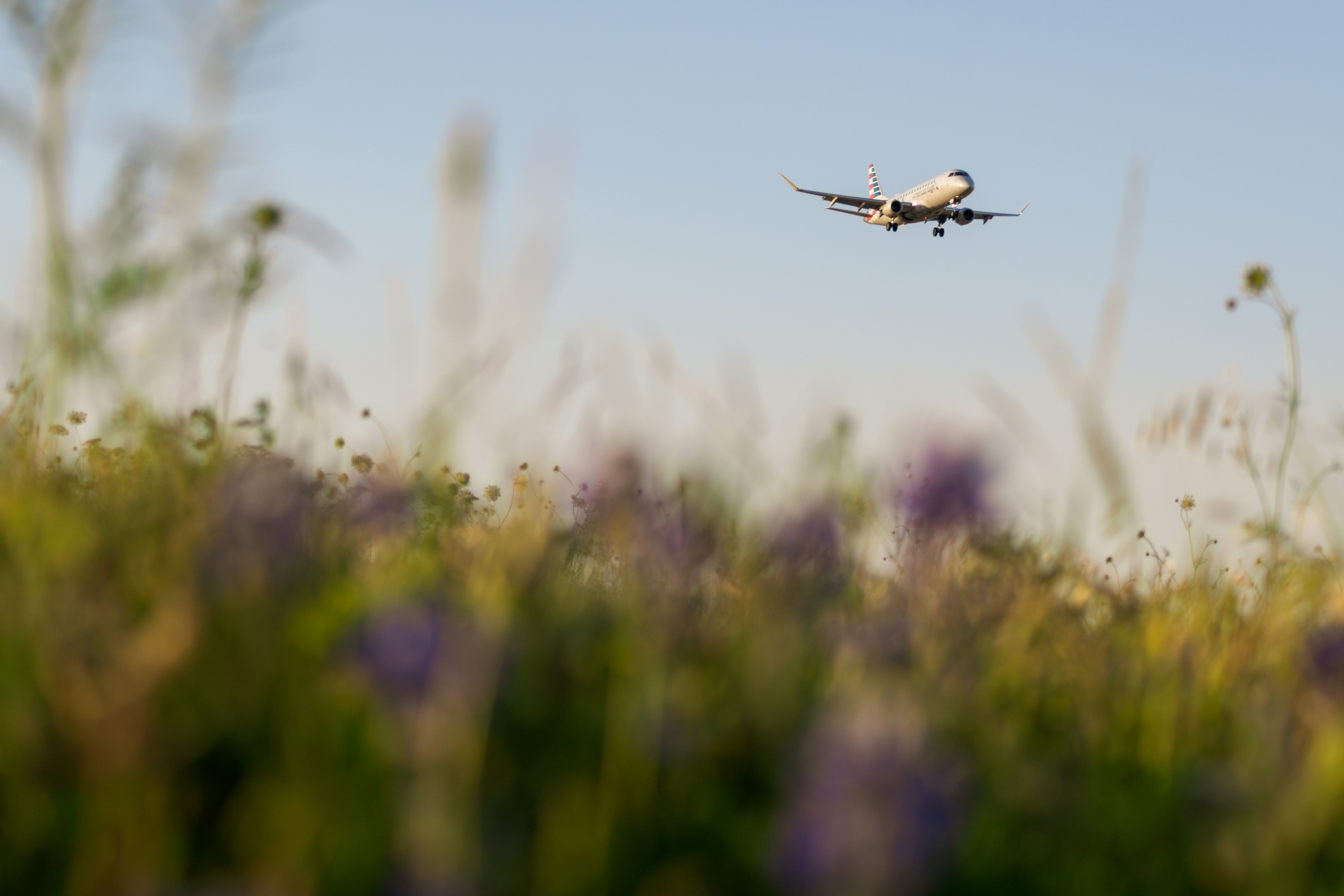 Photo by Dheeraj M with Nikon Z50