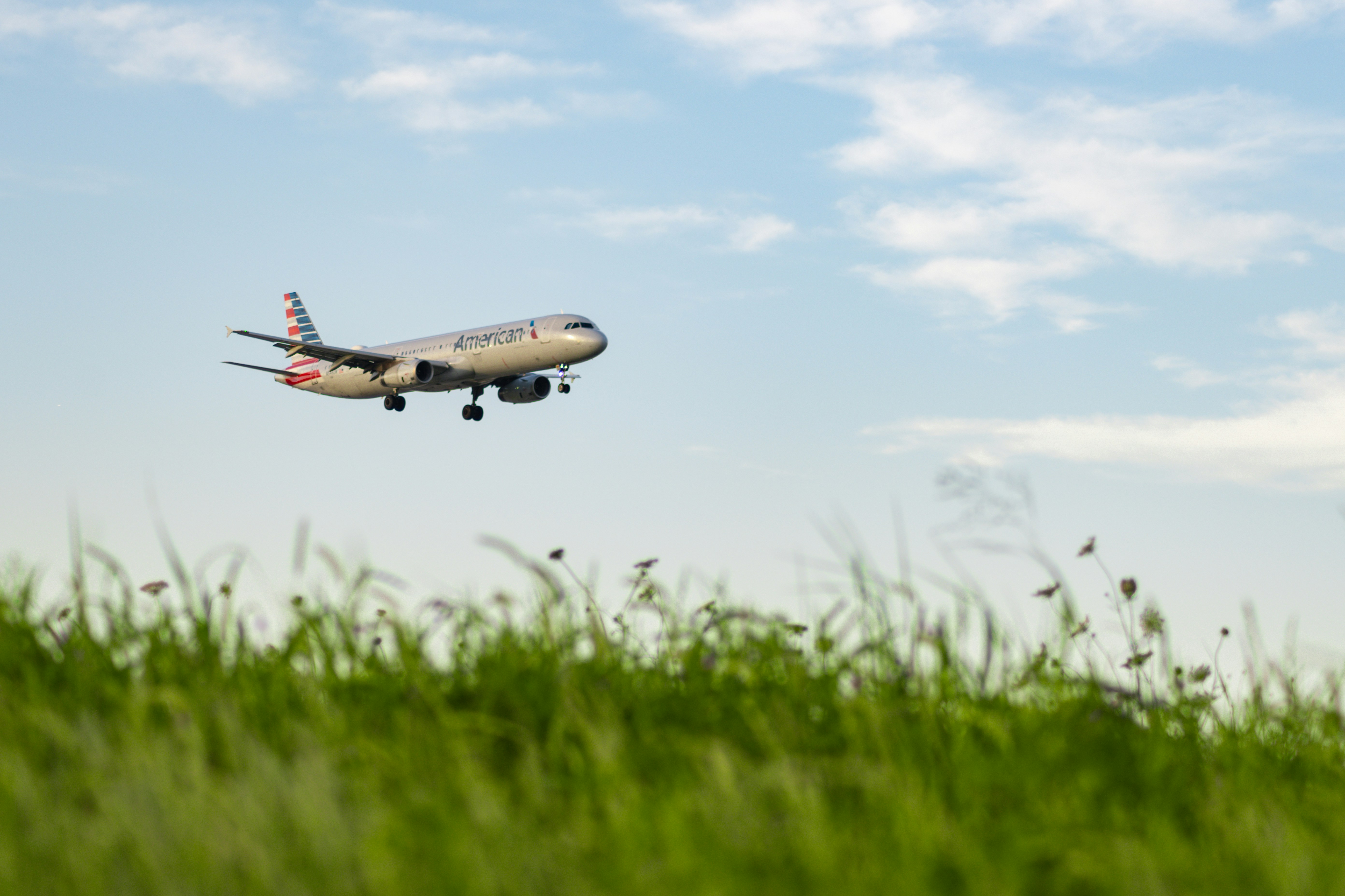 Photo by Dheeraj M with Nikon Z50