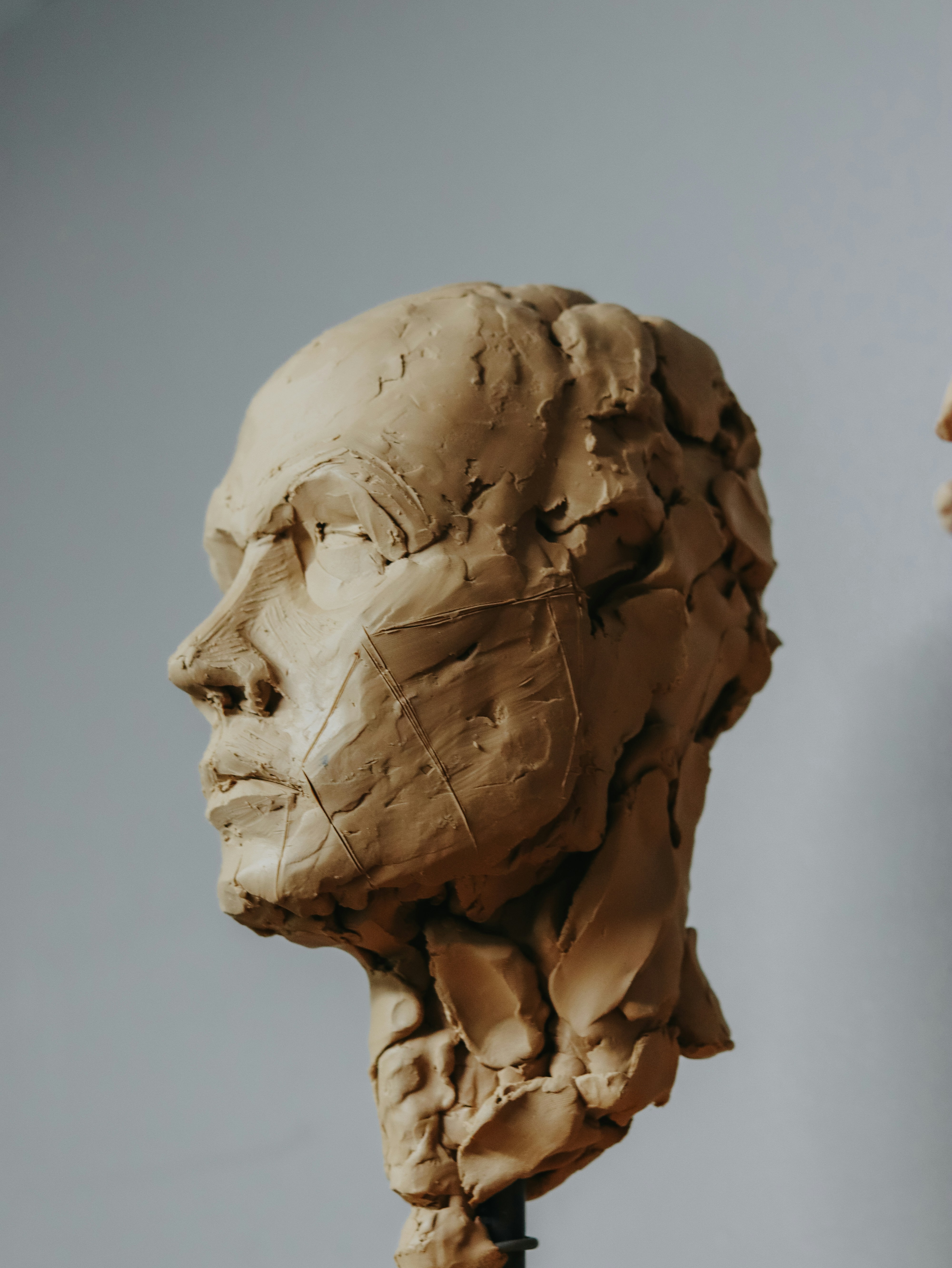 A clay bust depicts a person's profile. photo – Free Professional Image ...