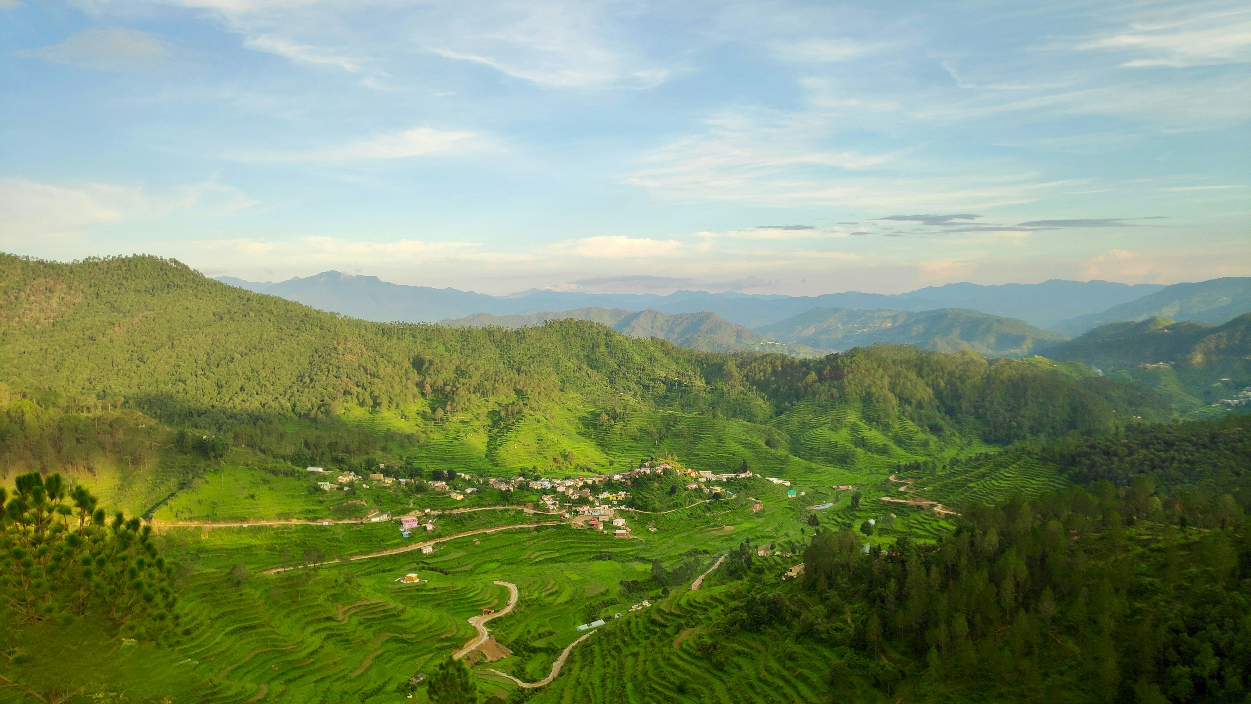 Emerald Waves of Terraced Fields