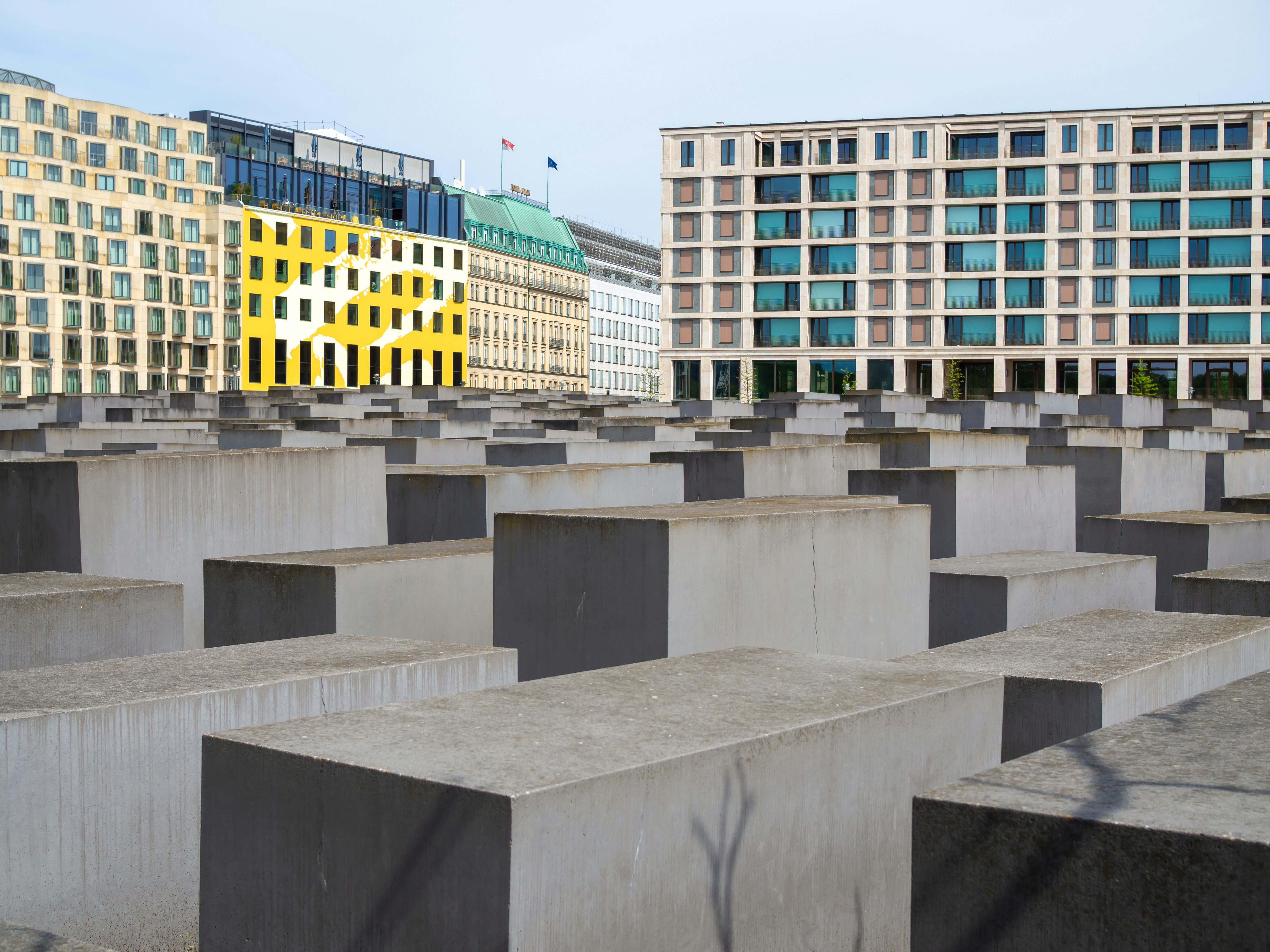 Photo by Yoav Aziz with Olympus OM-D E-M10 Mark III