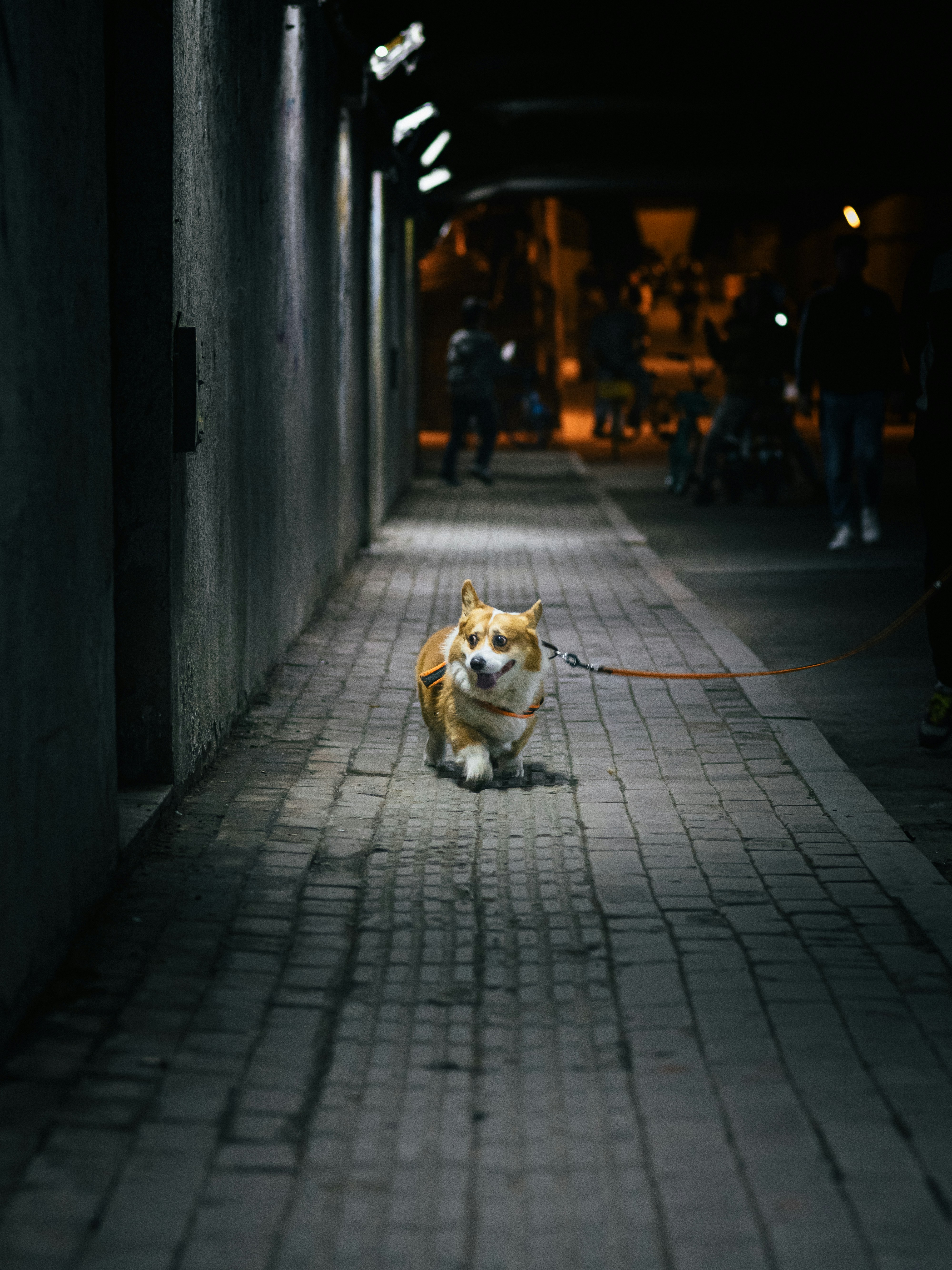 Photo by wu yi with Pentax KP