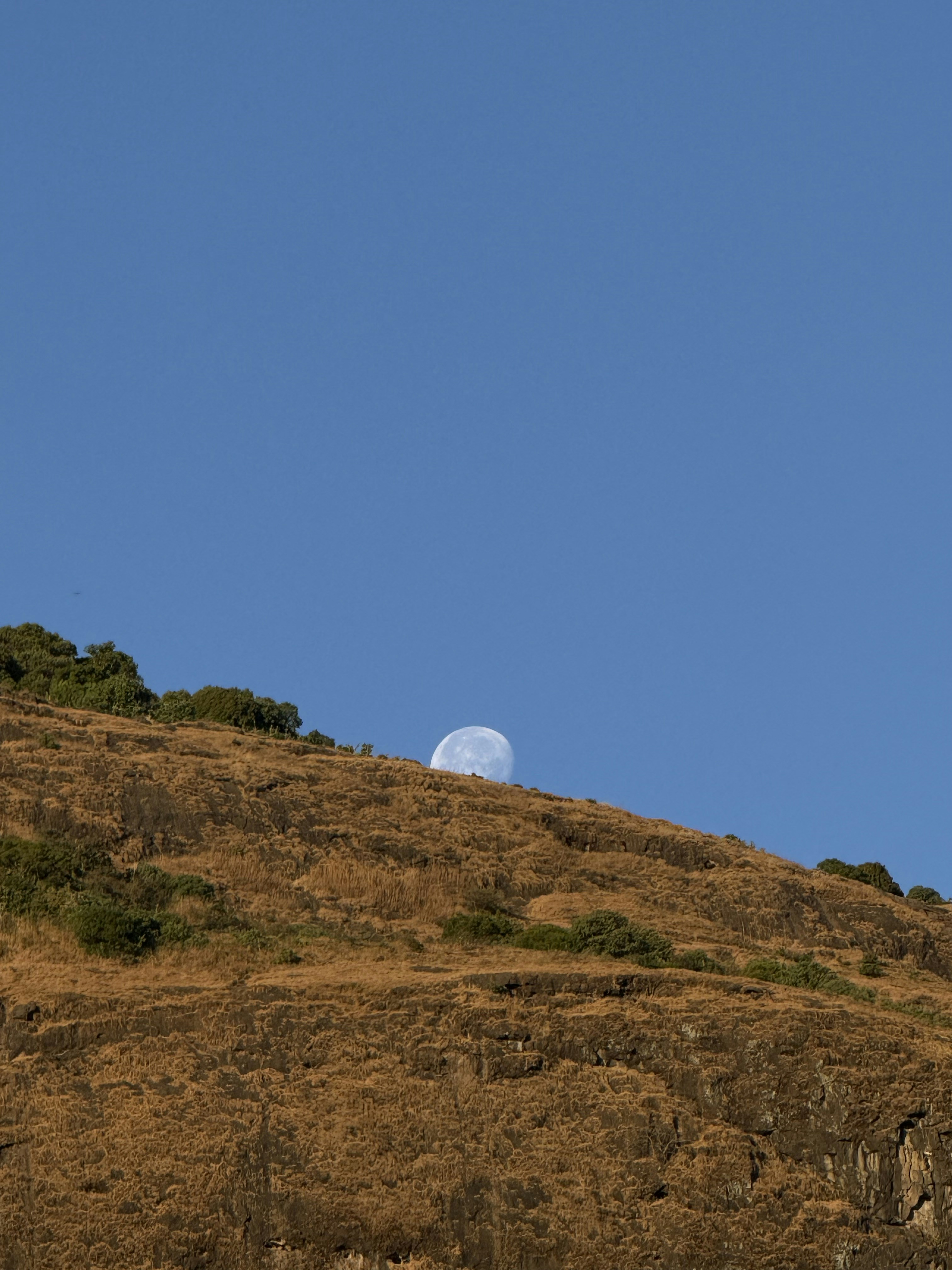 Moonrise Over the Slope: A Quiet Sky Above the Hill