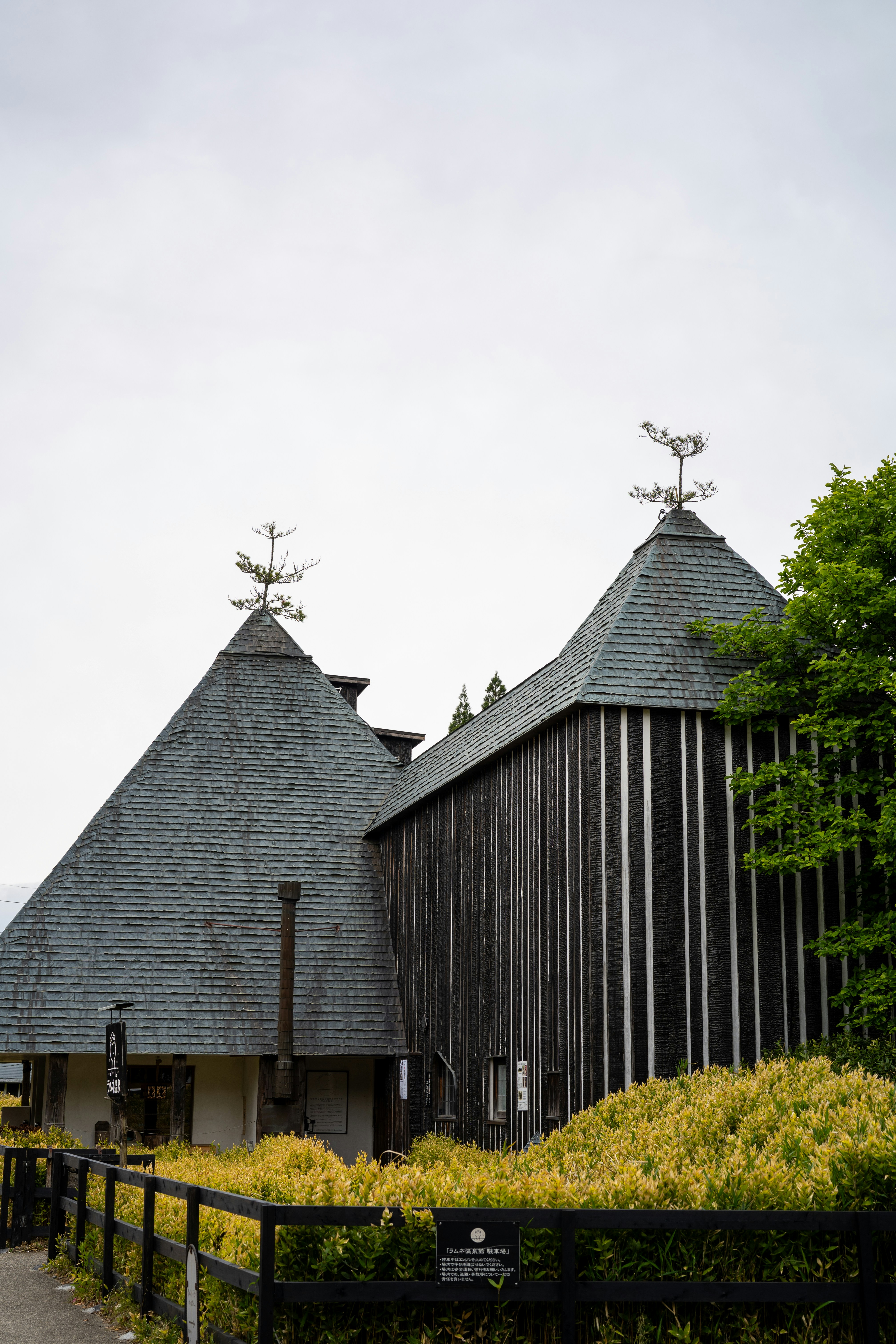 Photo by Kouji Tsuru with Nikon Z5 II