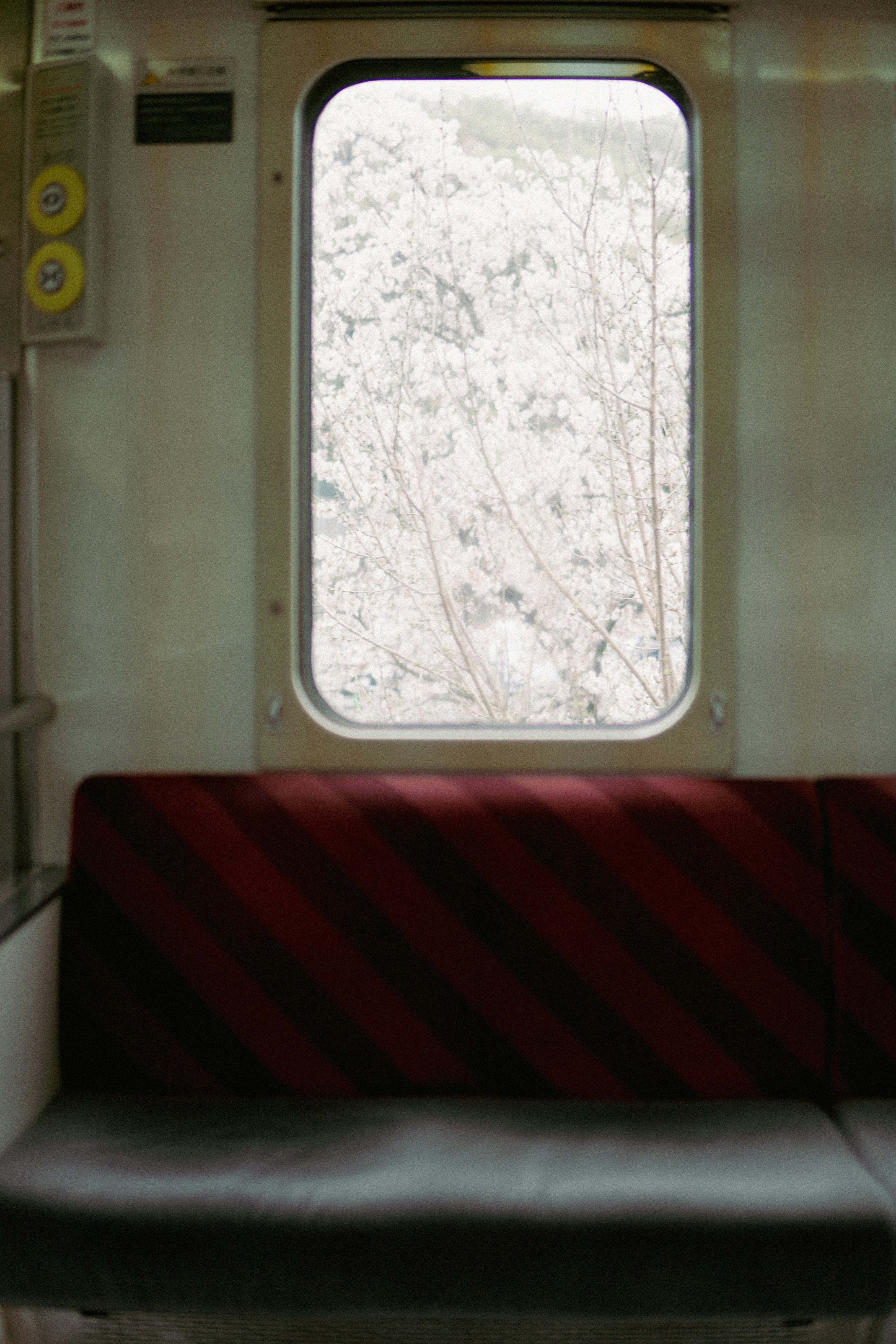 Snowlit Window, Quiet Car: Red-Stripes Framing a Winter View