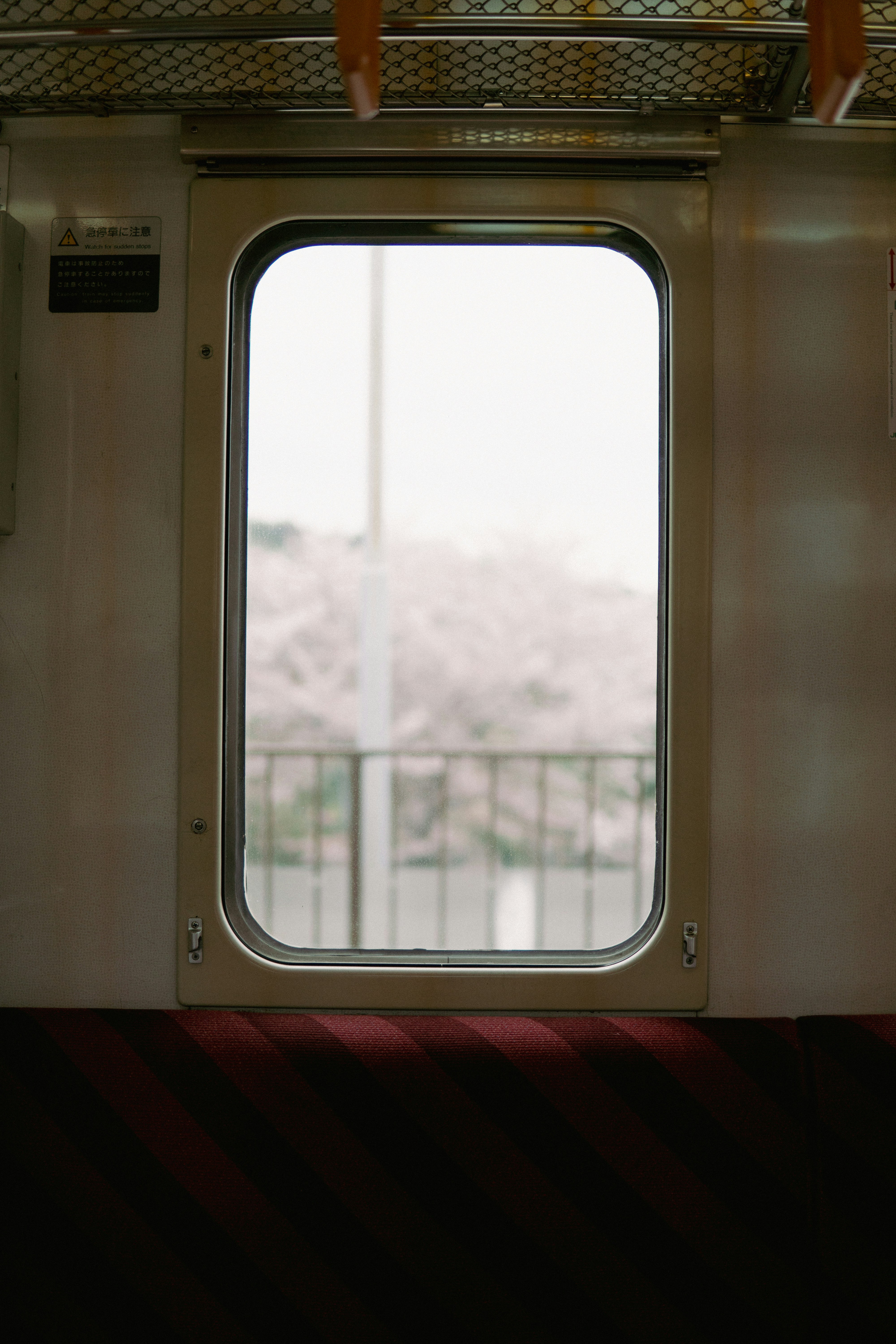 A Glimpse of Spring Through the Train Window