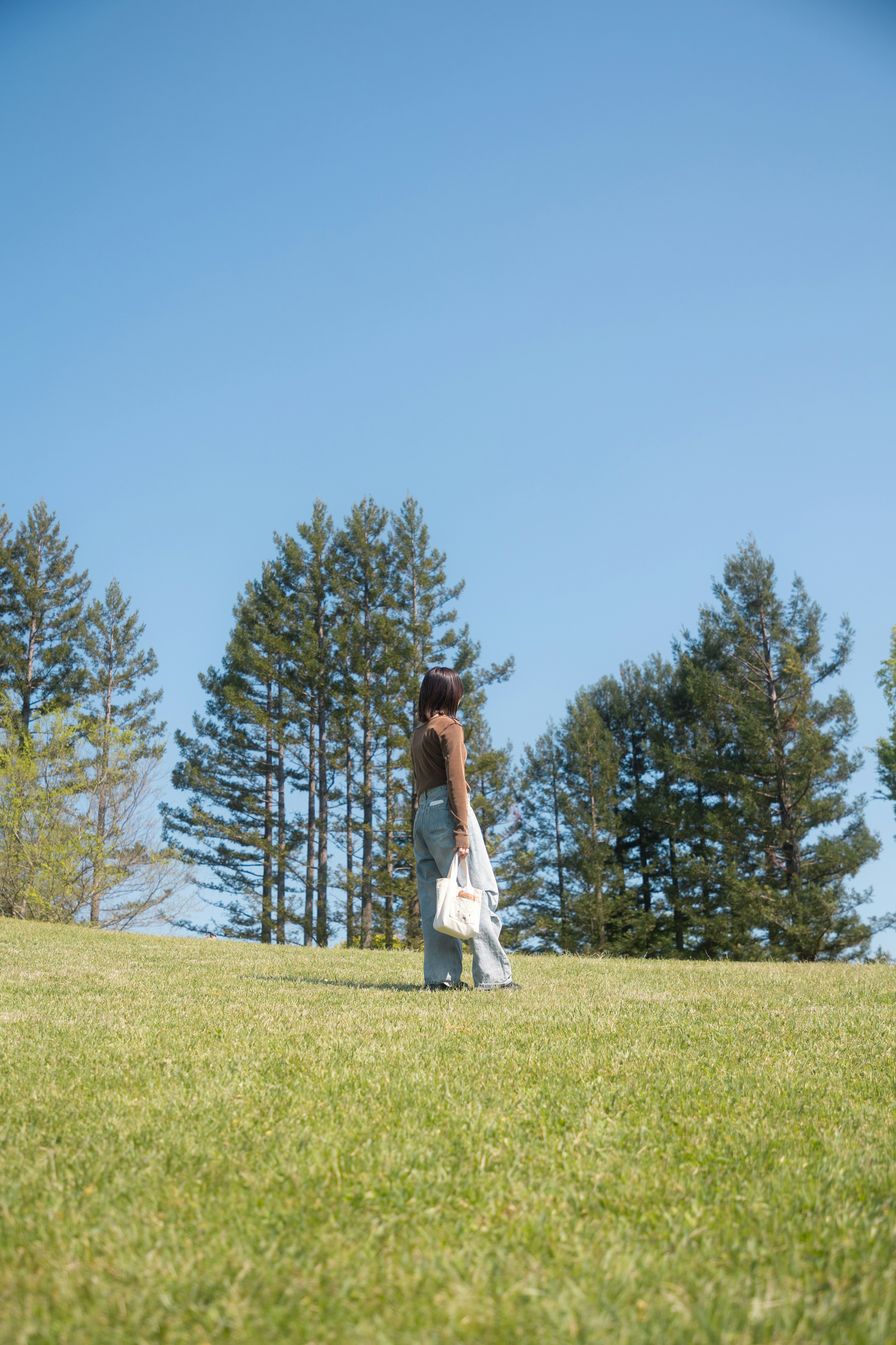 A Solitary Stroll in Nature's Embrace