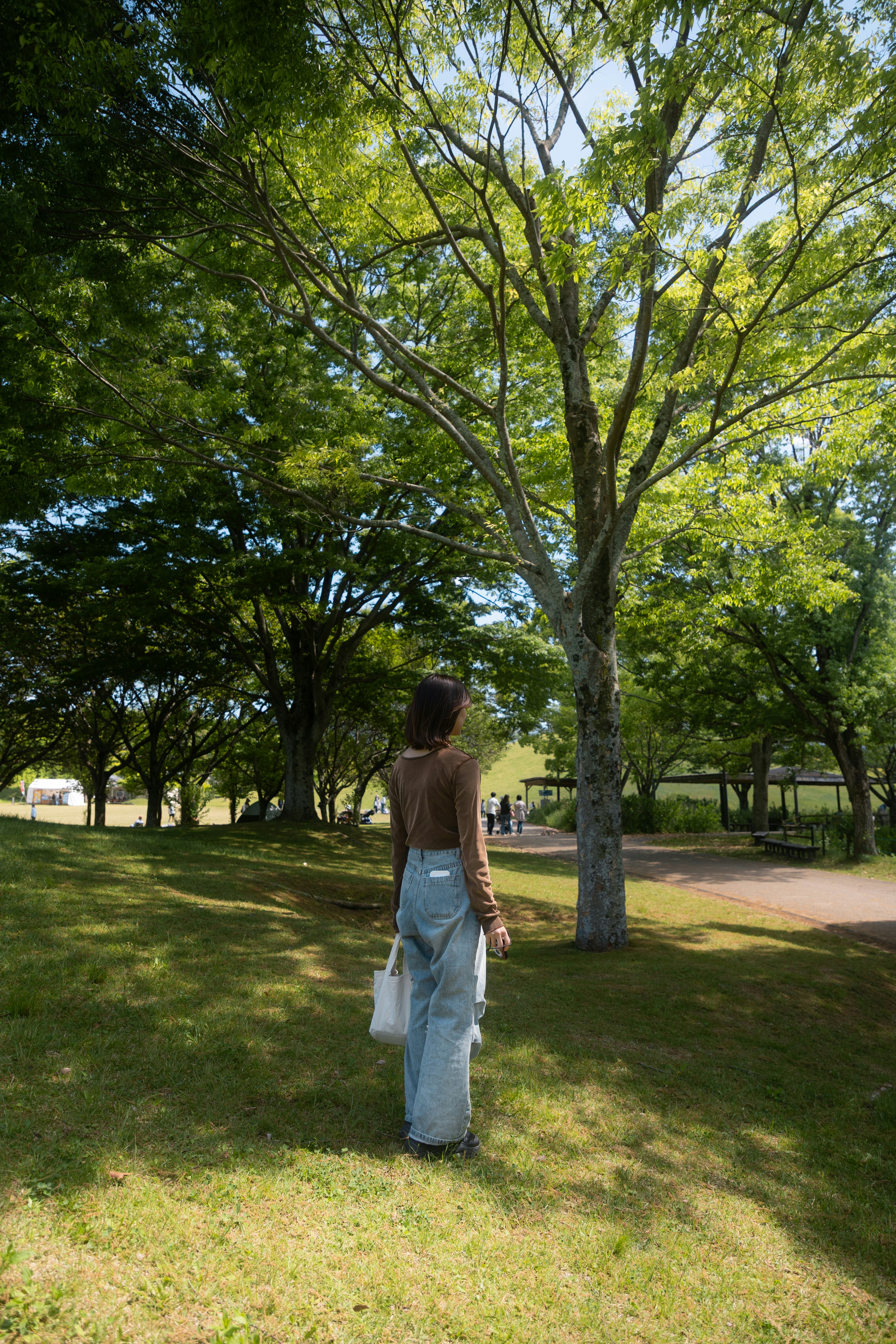 Sunlit Canopy Portrait: A Woman on a Park Path