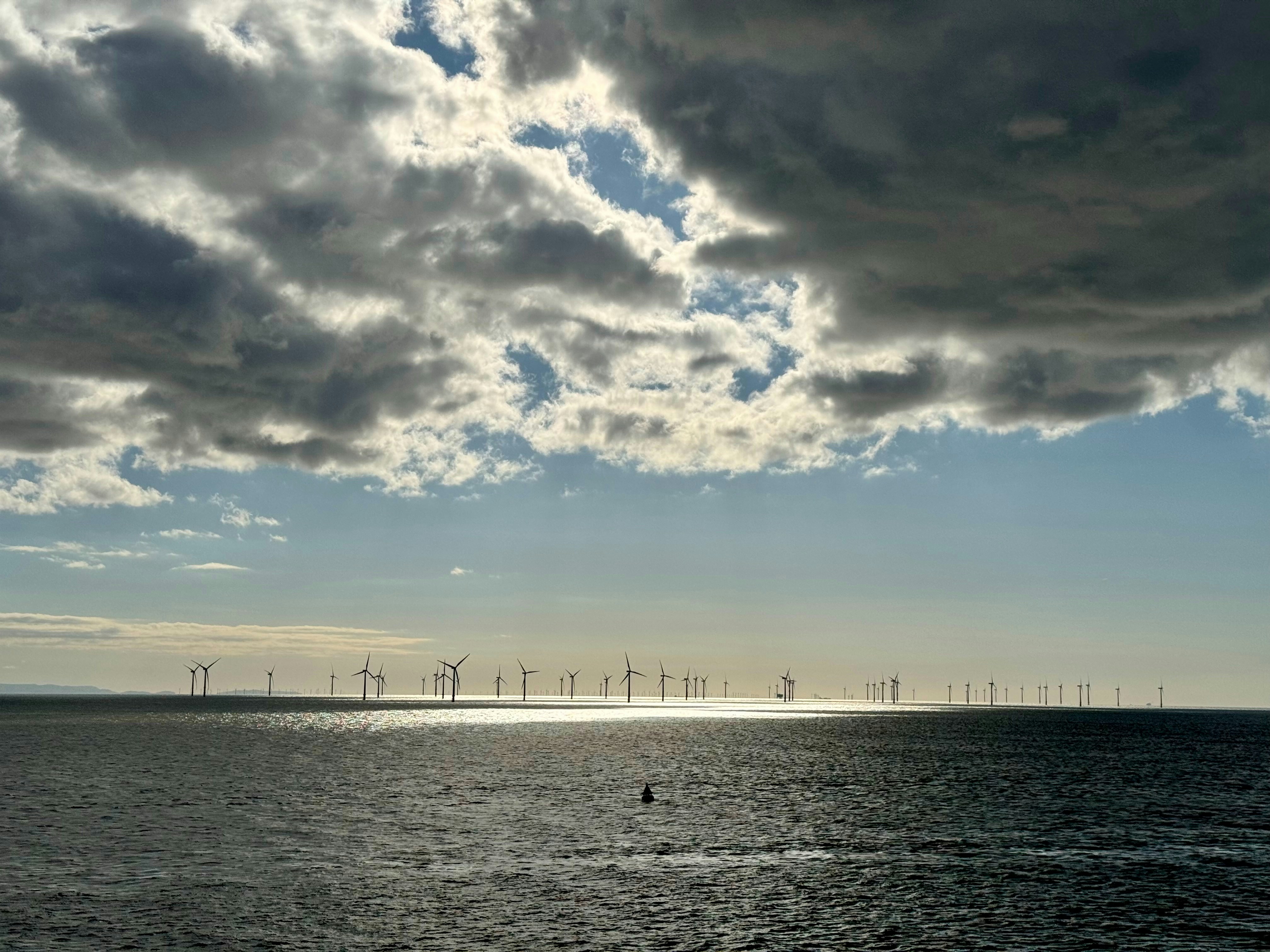 Harnessing Nature's Power: A Dance of Wind and Water