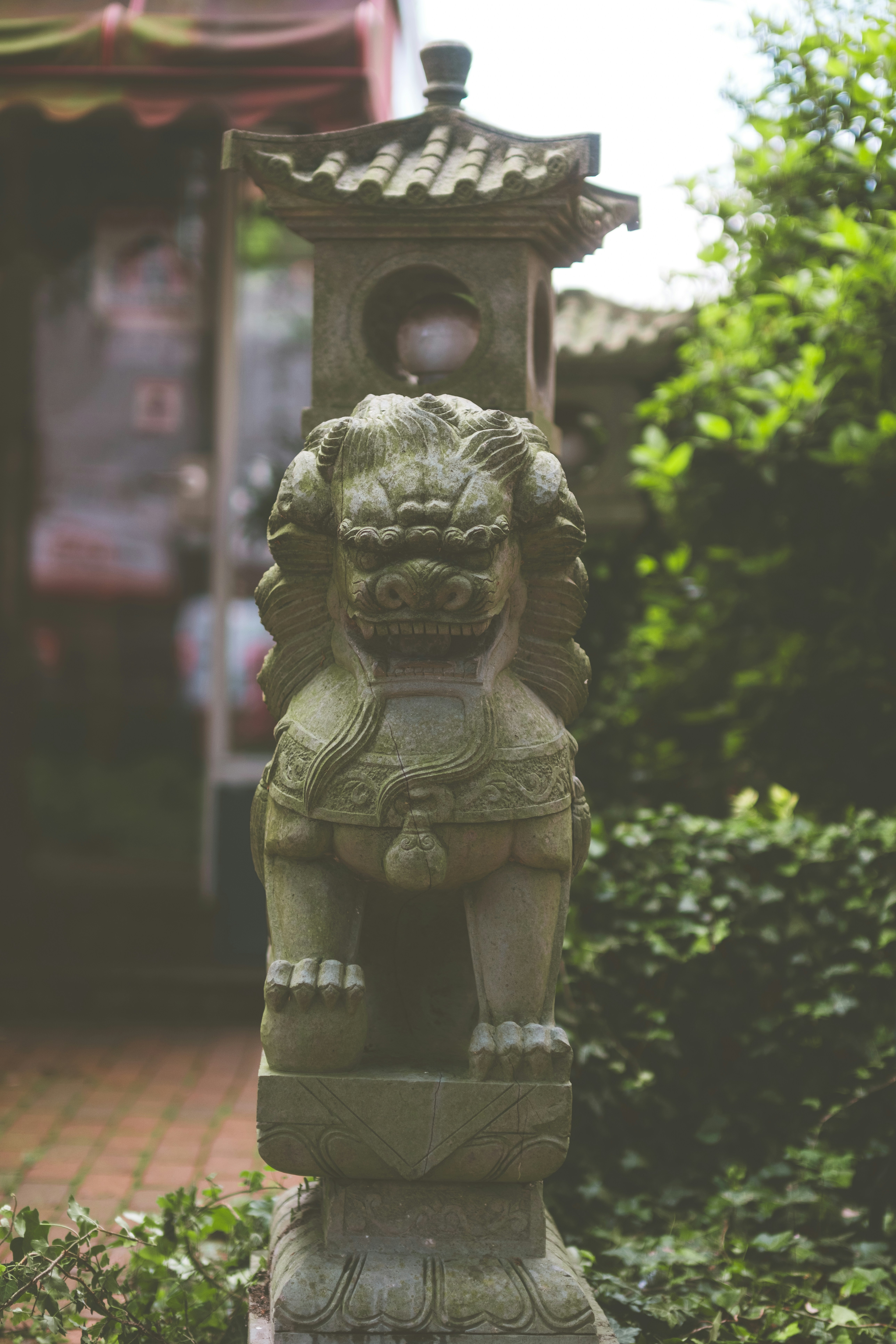 Intricately carved stone lion statue stands amidst lush greenery, symbolizing protection and strength in a serene garden setting.