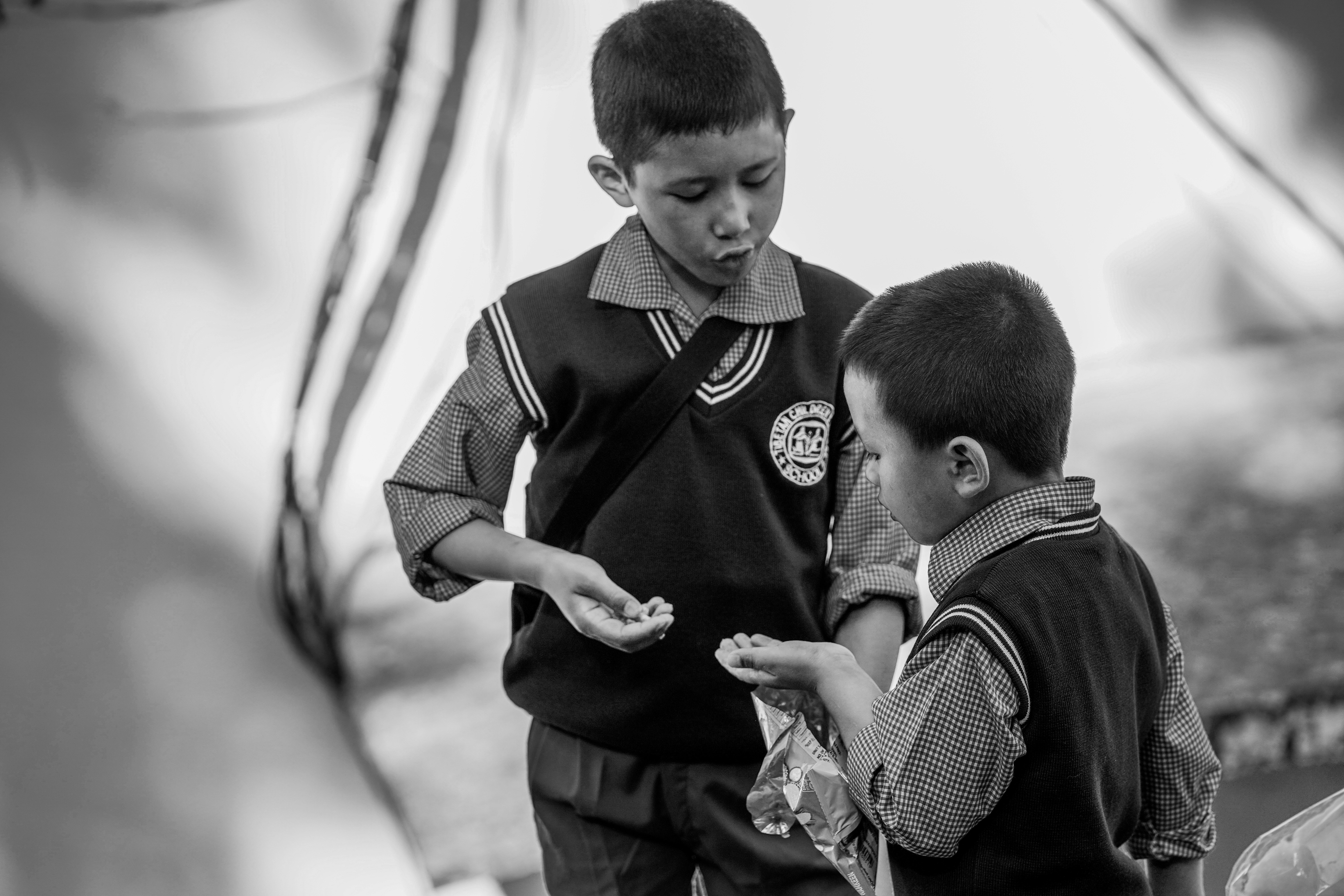 Two school boys sharing something in a gesture. photo – Free Portrait ...