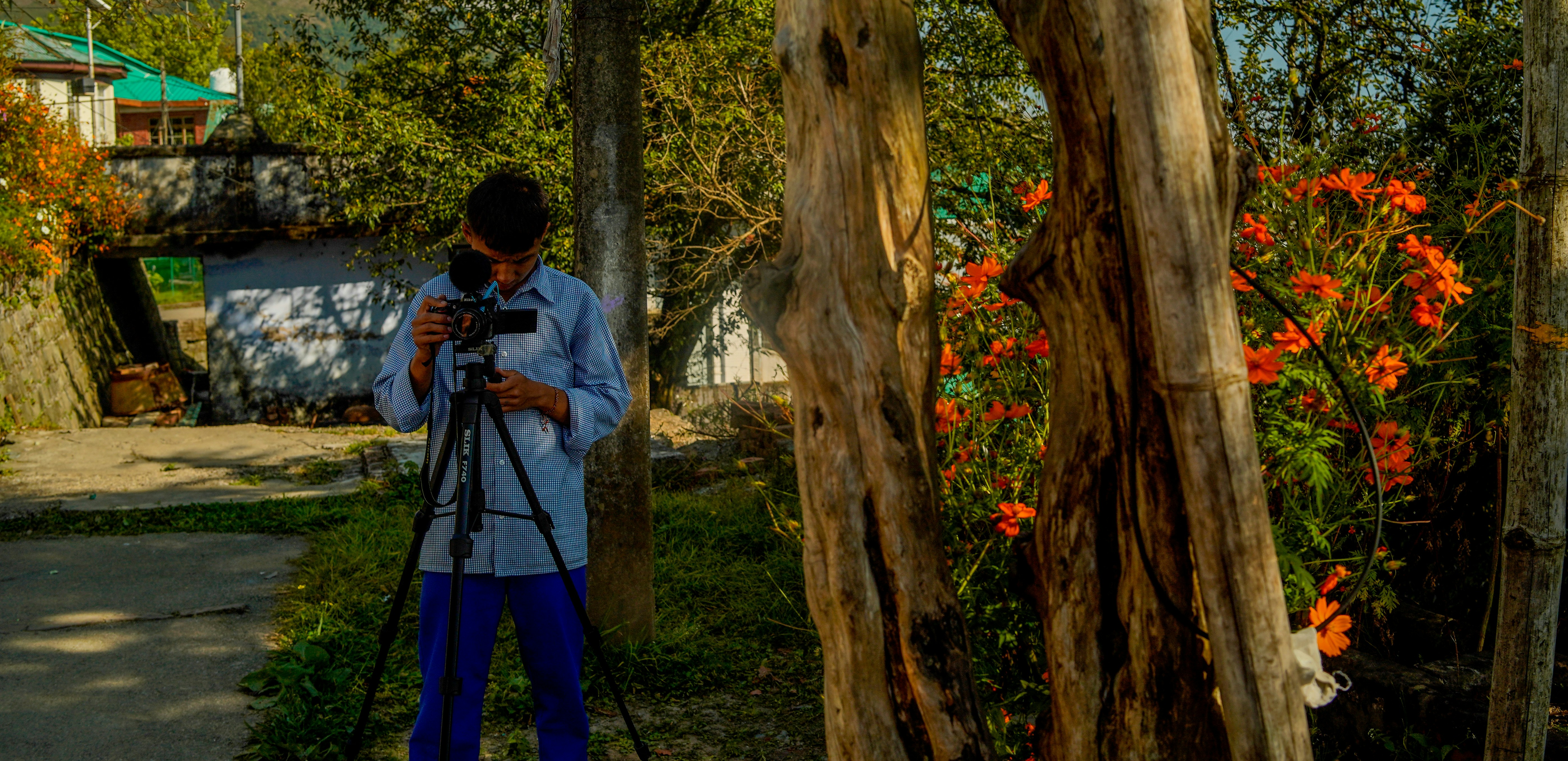 The Art of Focus: A Moment in Nature's Embrace