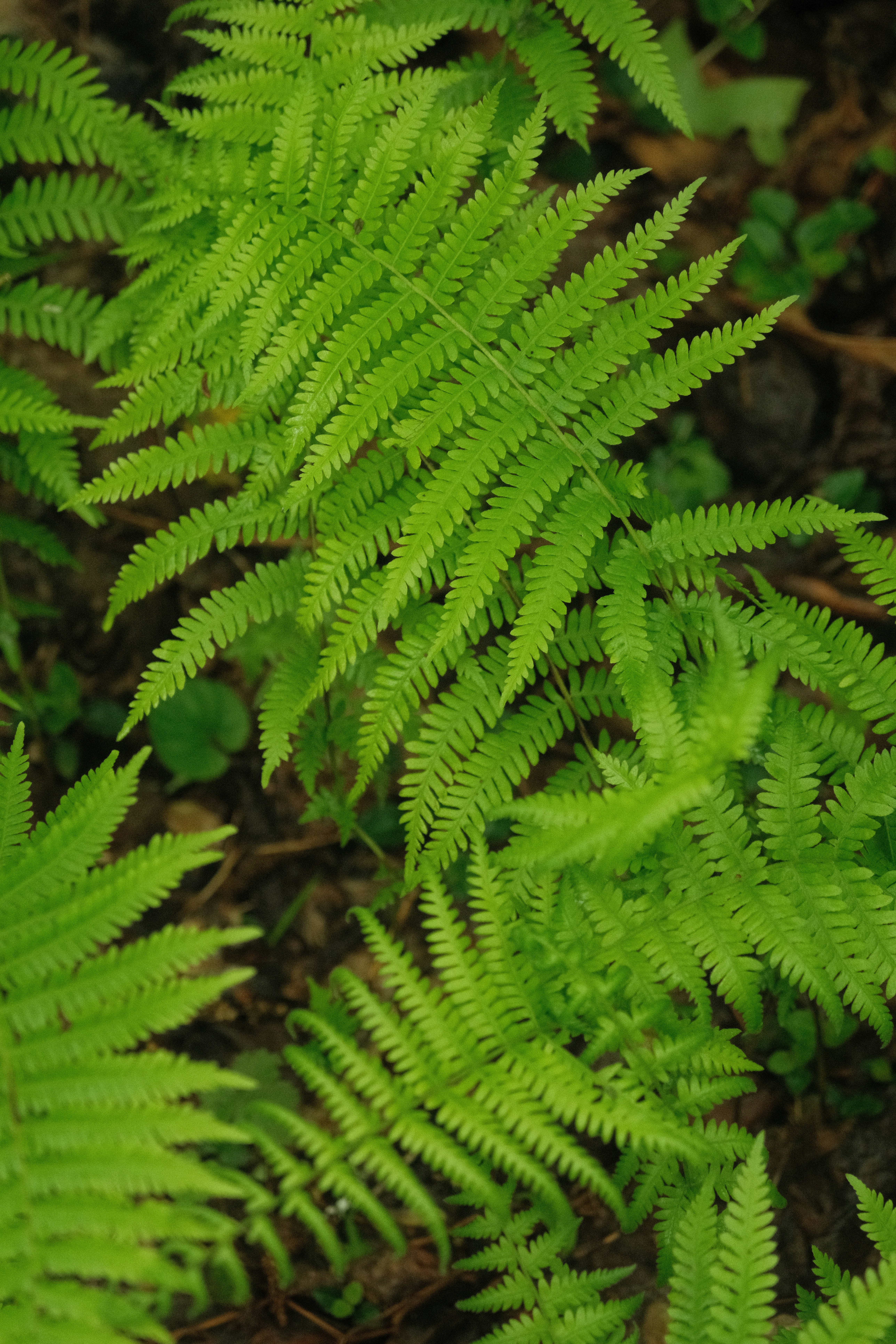 Photo by Robert Bye with Fujifilm X-T5