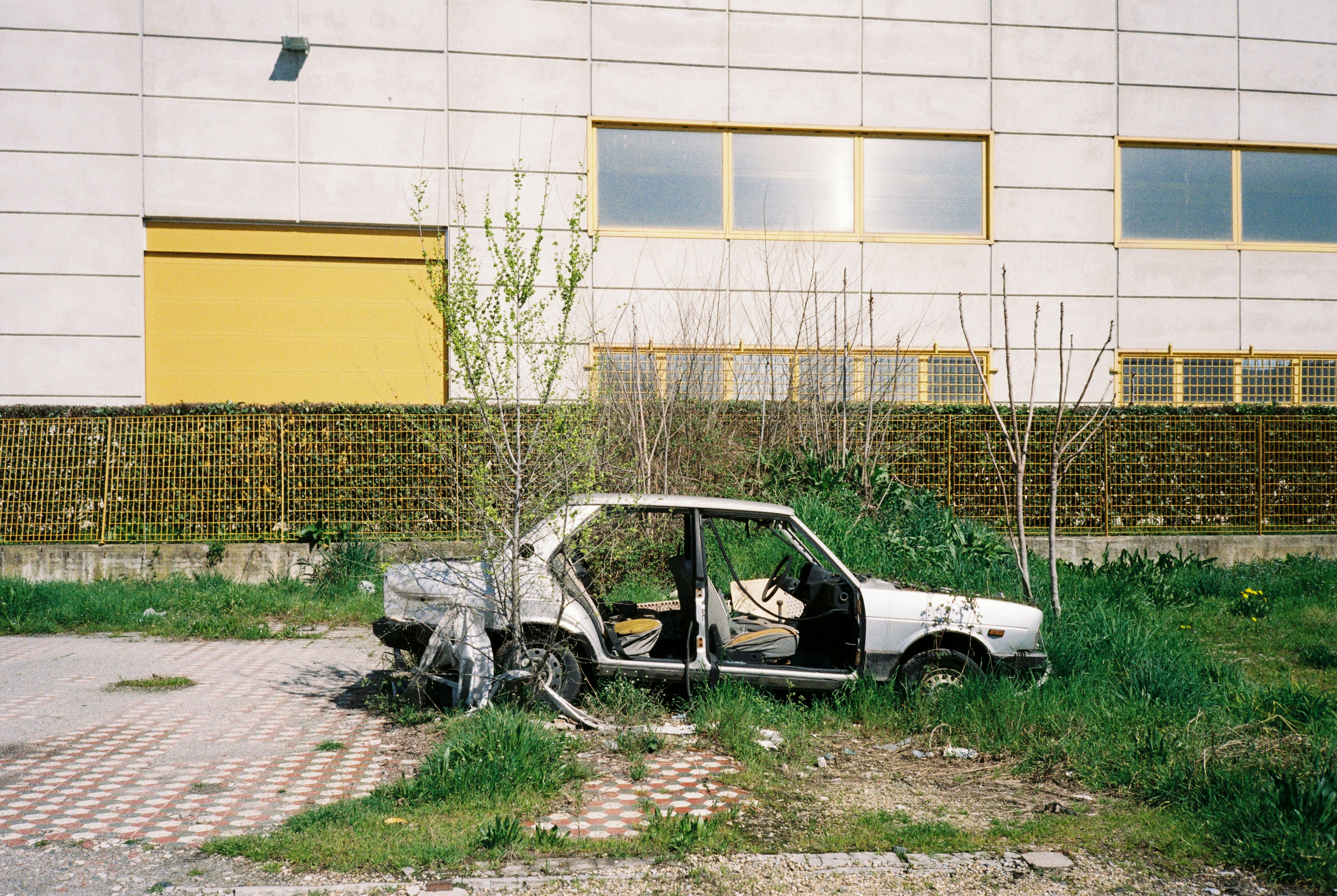 Abandoned car overgrown with grass and small trees, set against a backdrop of a modern building. Nature slowly reclaims its space.