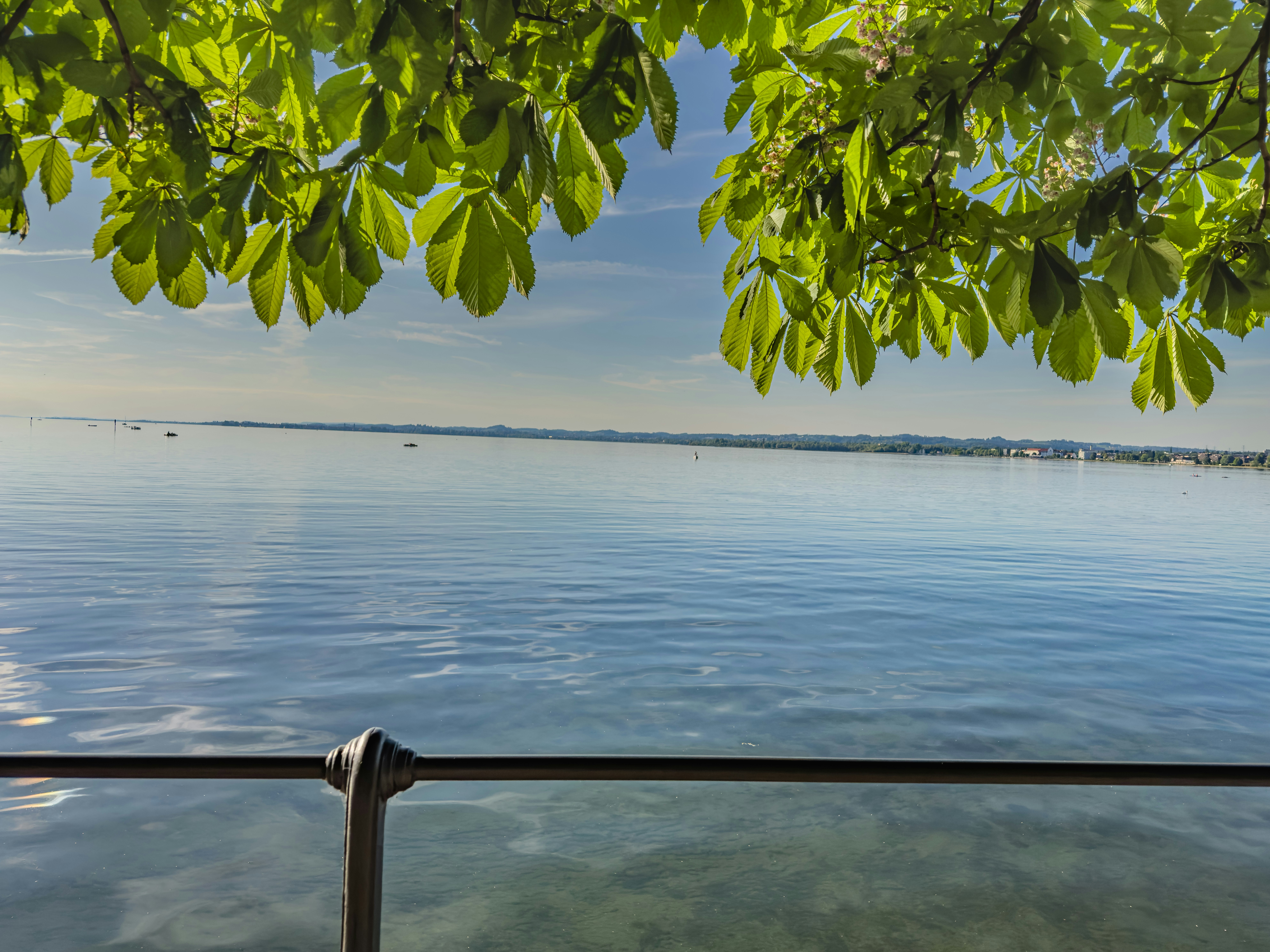 Photo by Andreas Weilguny with Apple iPhone 15 Pro Max