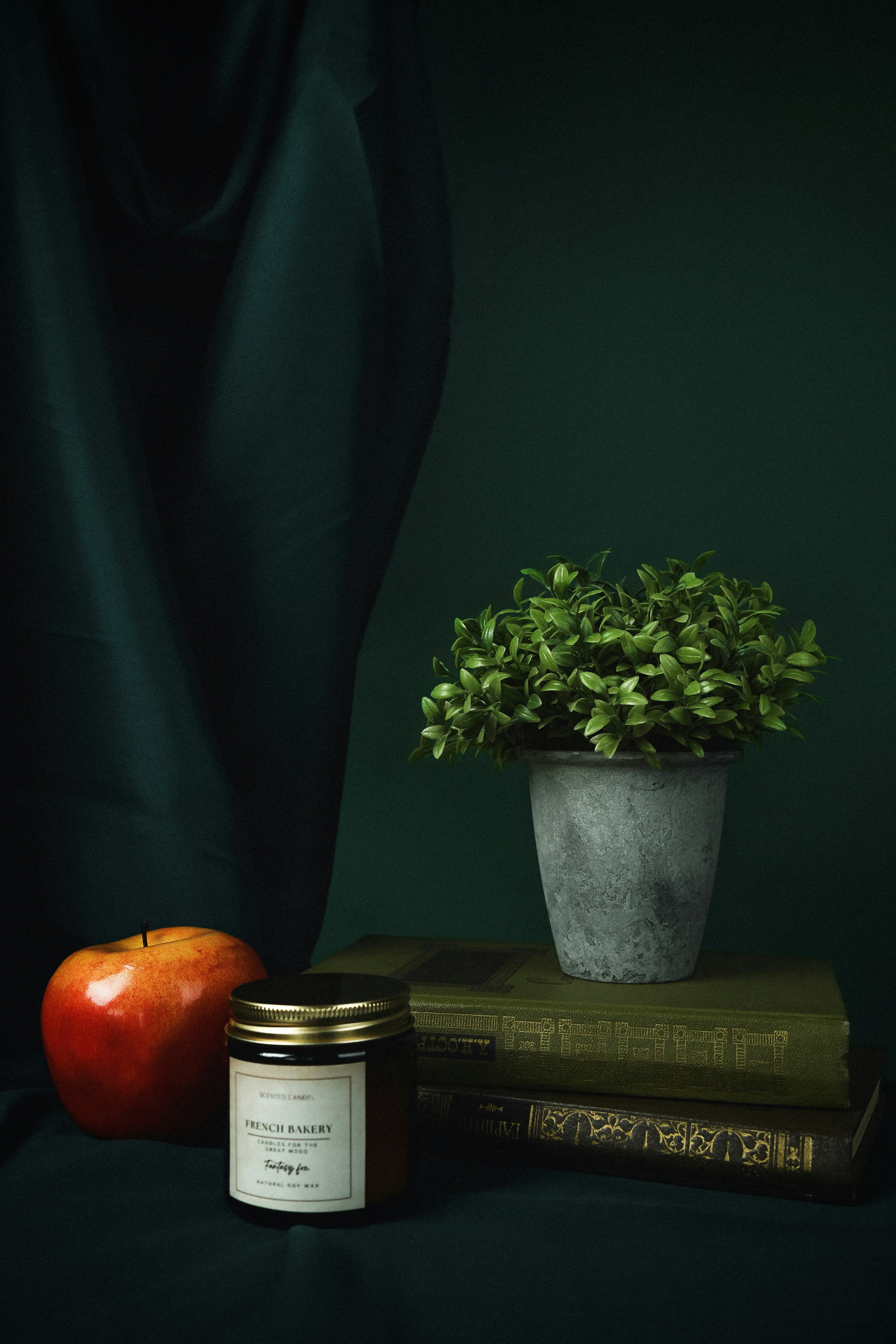 Verdant Stillness: A Potted Plant, Red Apple, and Antique Jar Among Books