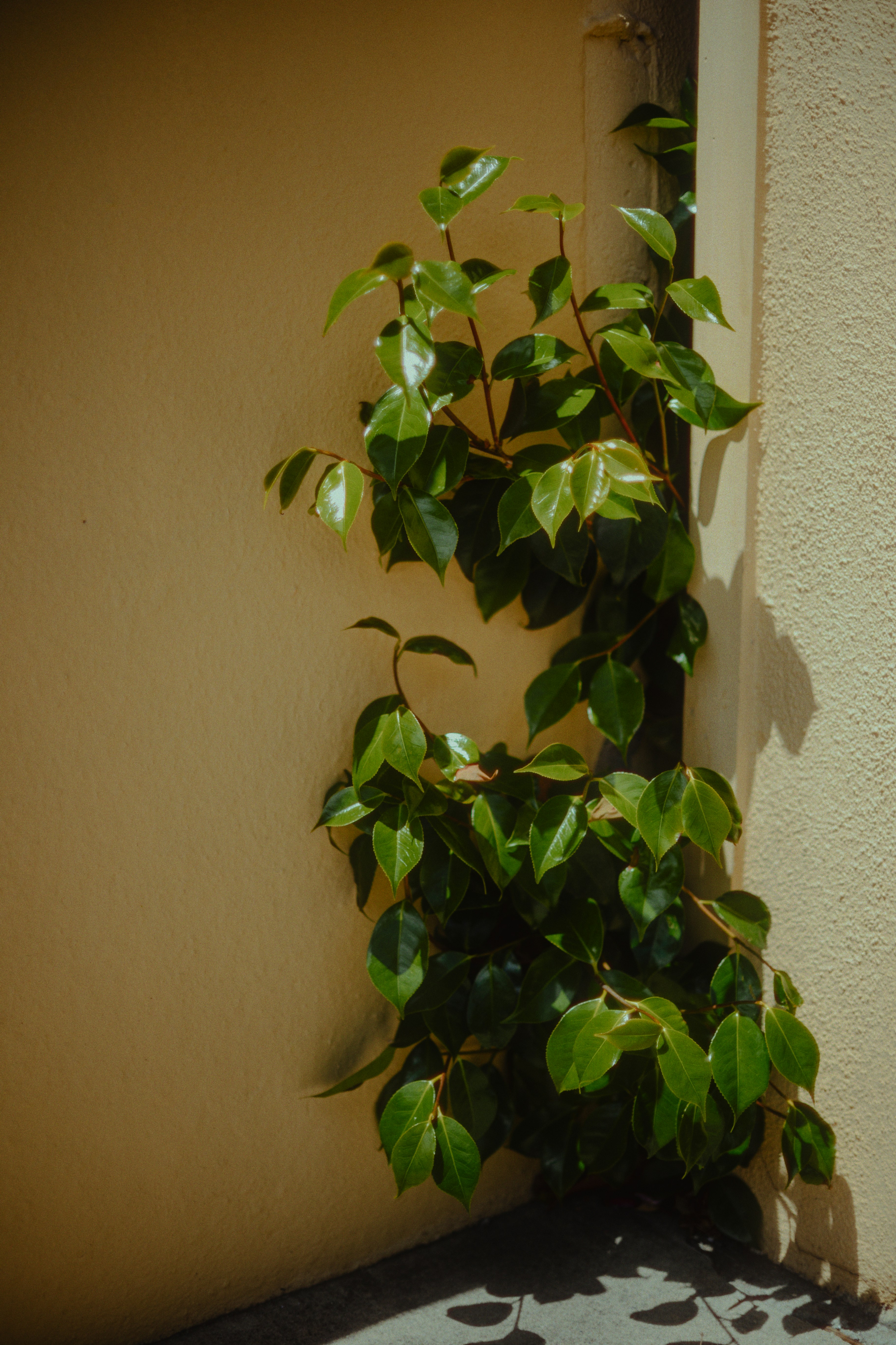 Photo by Jason Leung with Canon EOS R6