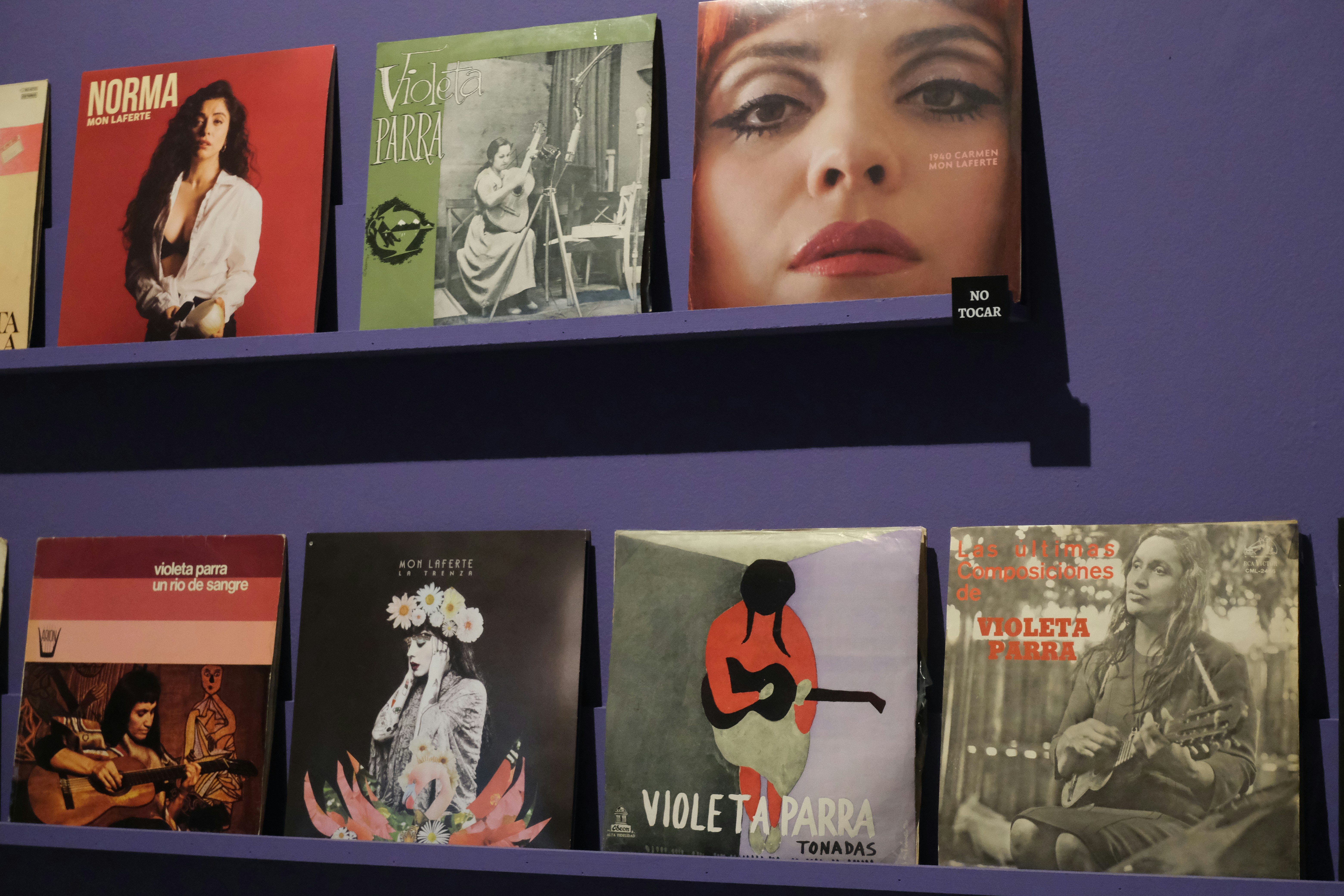 Shelves of Portraits: A Purple Gallery of Album Covers