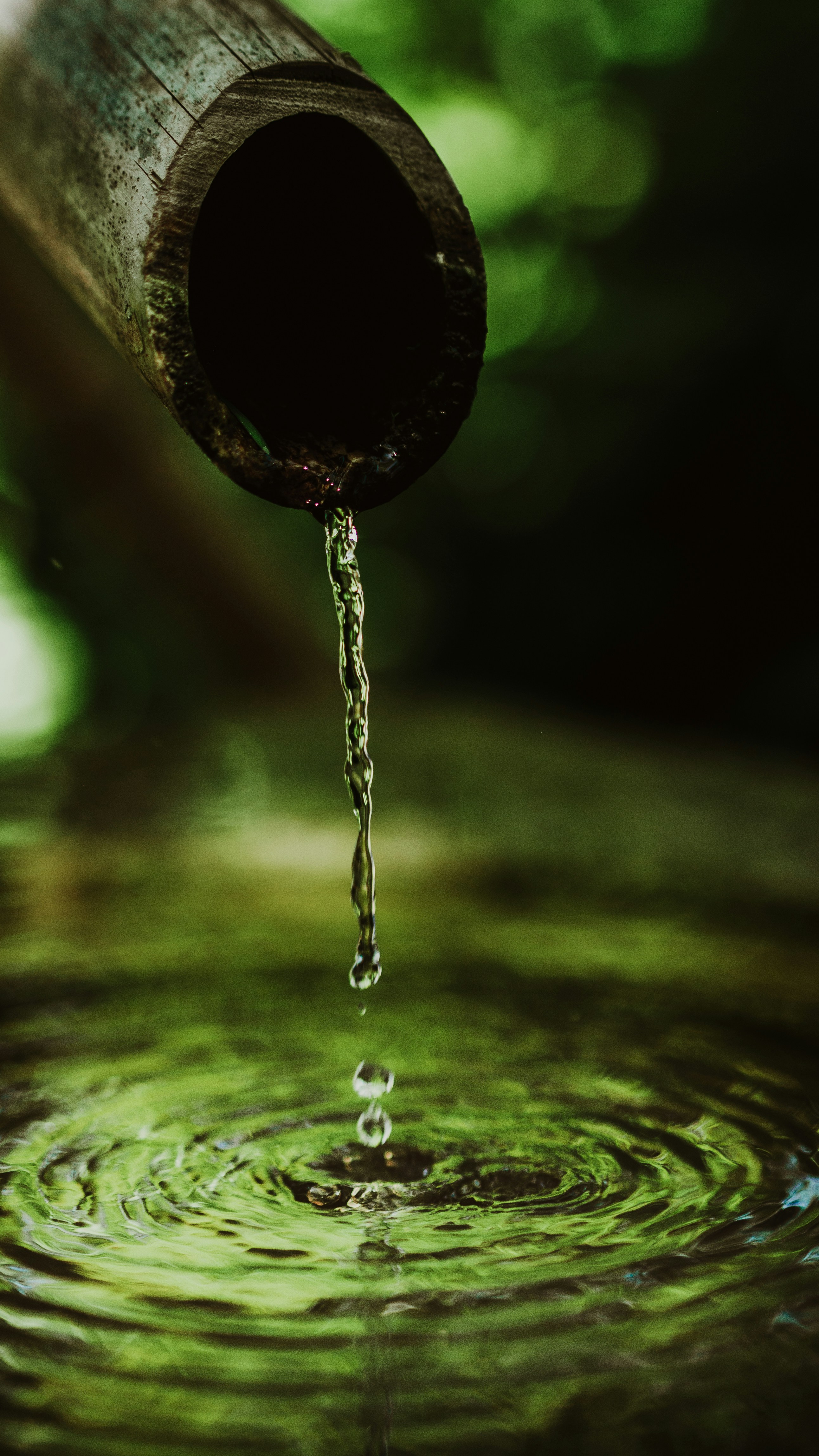 Photo by Cande Westh with Panasonic Lumix G7