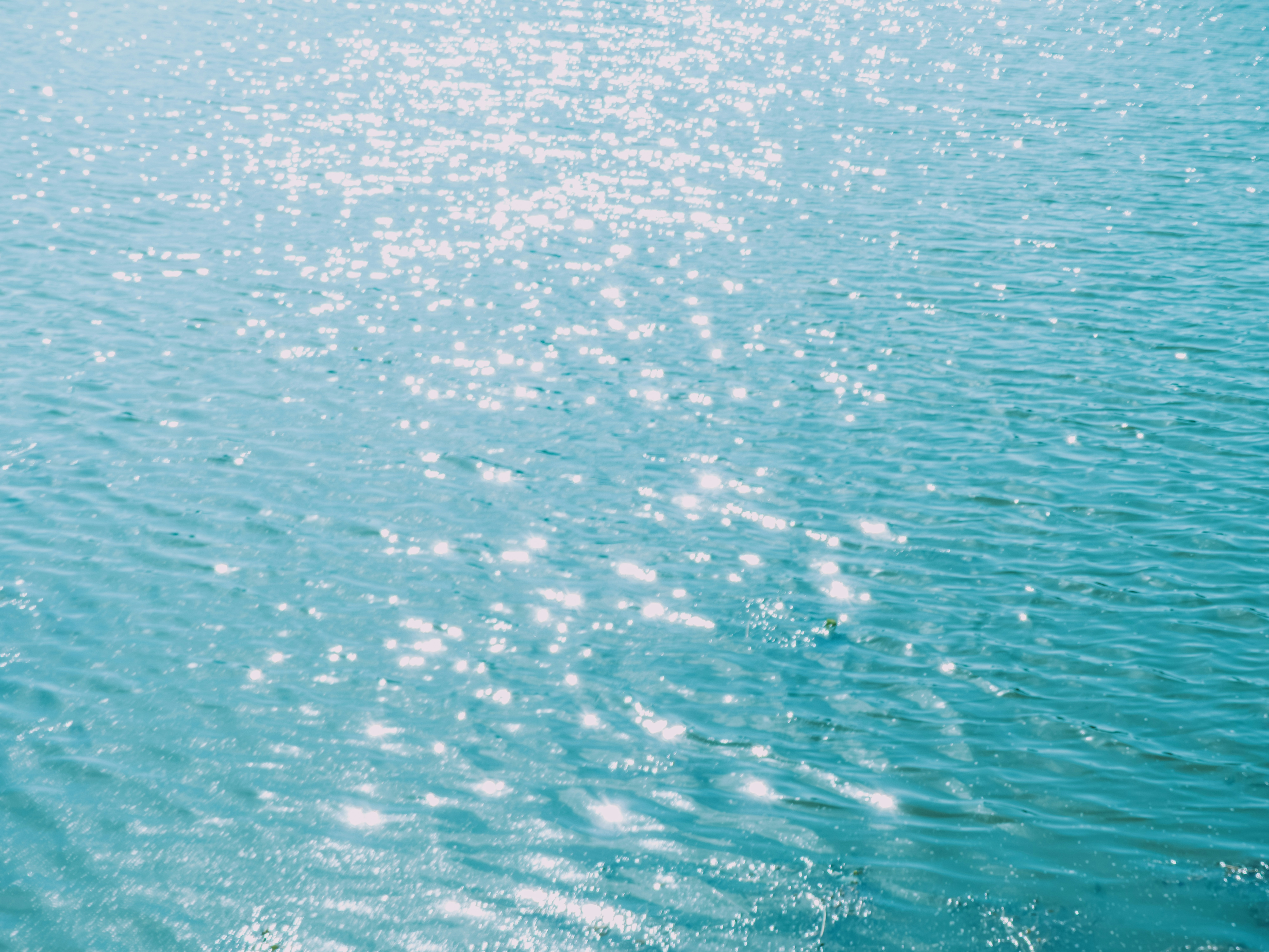 Sample photo from Leica V-LUX 4