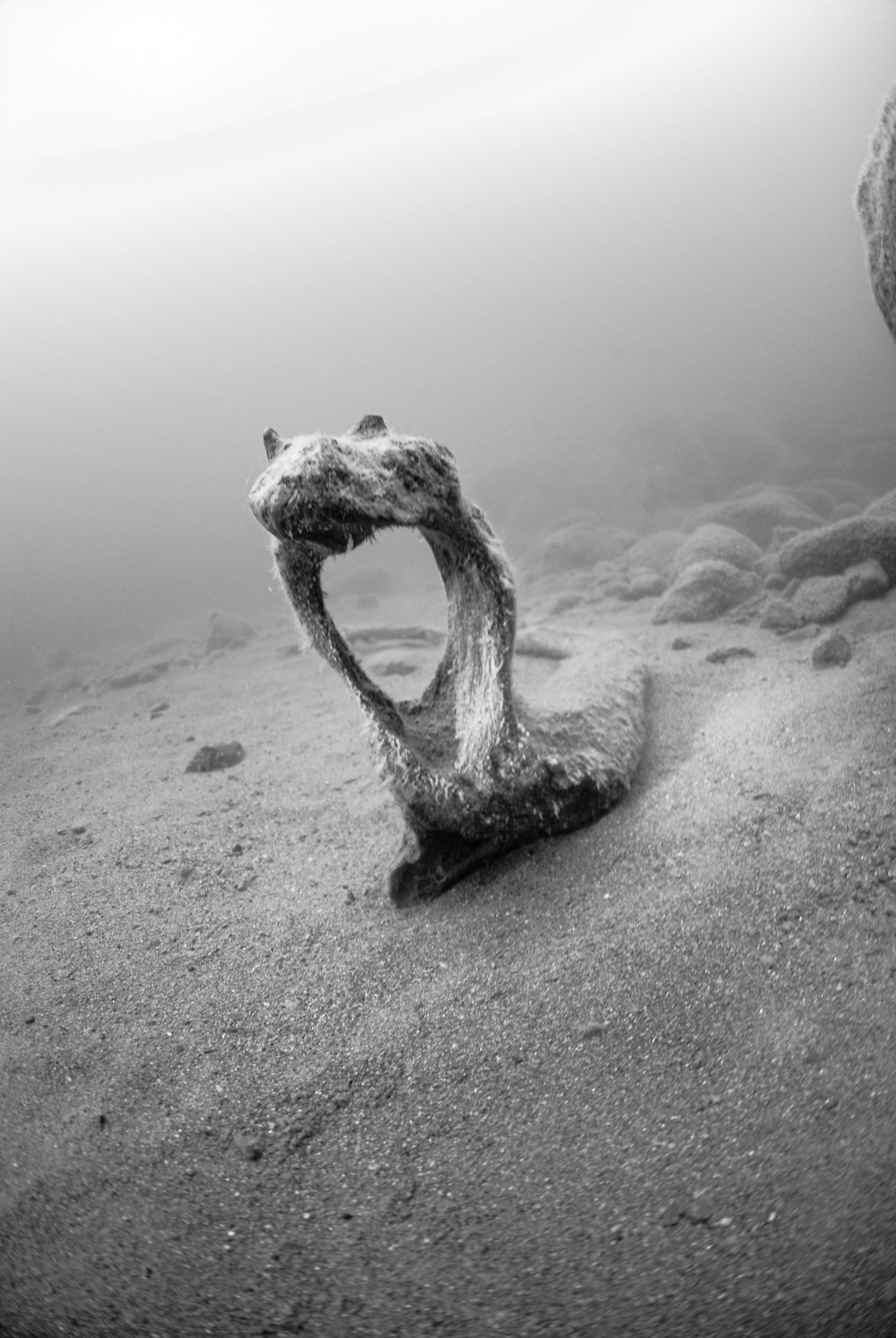 An underwater view of a decaying object. photo – Free Underwater Image ...