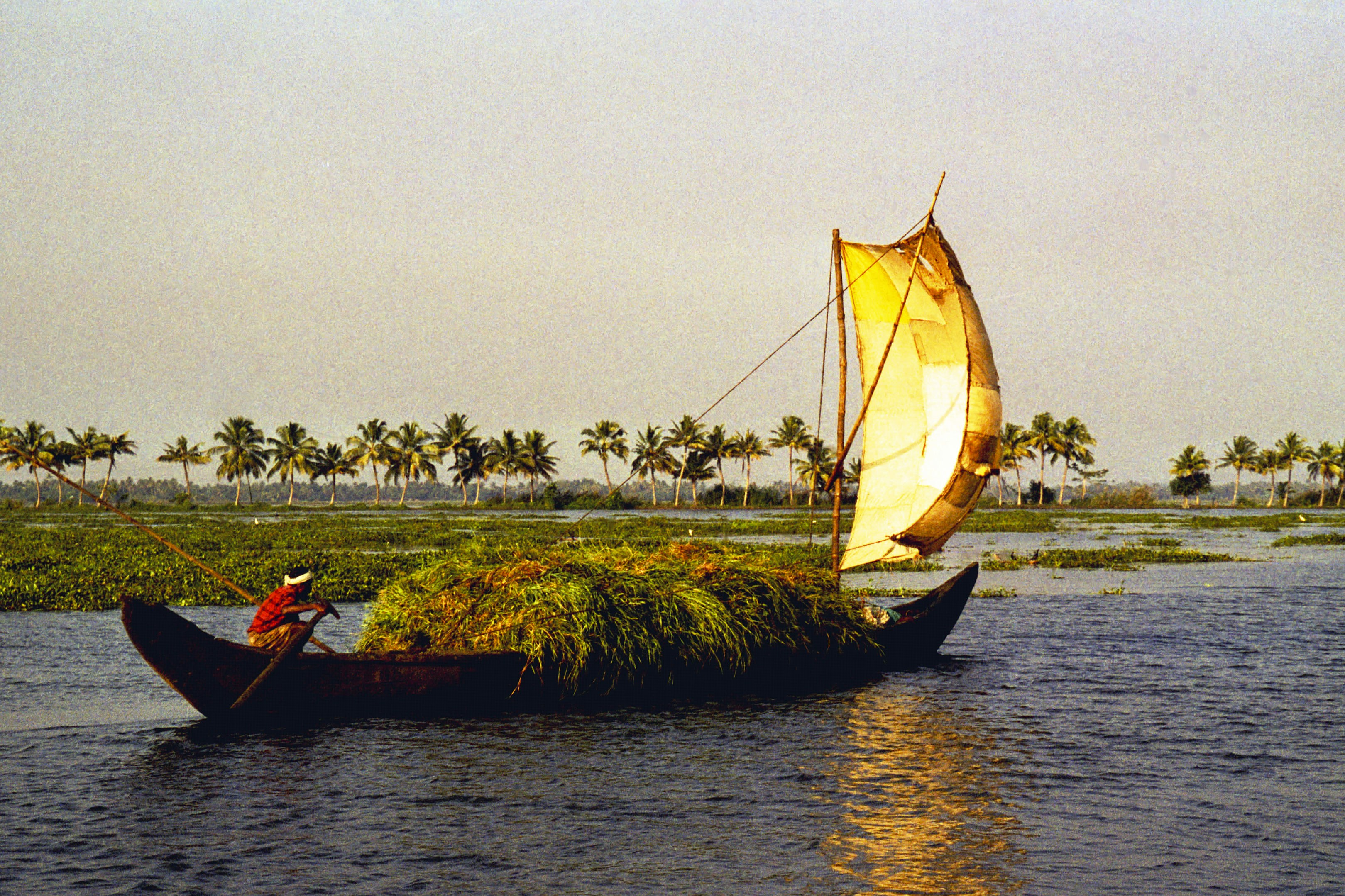 Boat with sail carrying hay in water. photo – Free Human Image on Unsplash