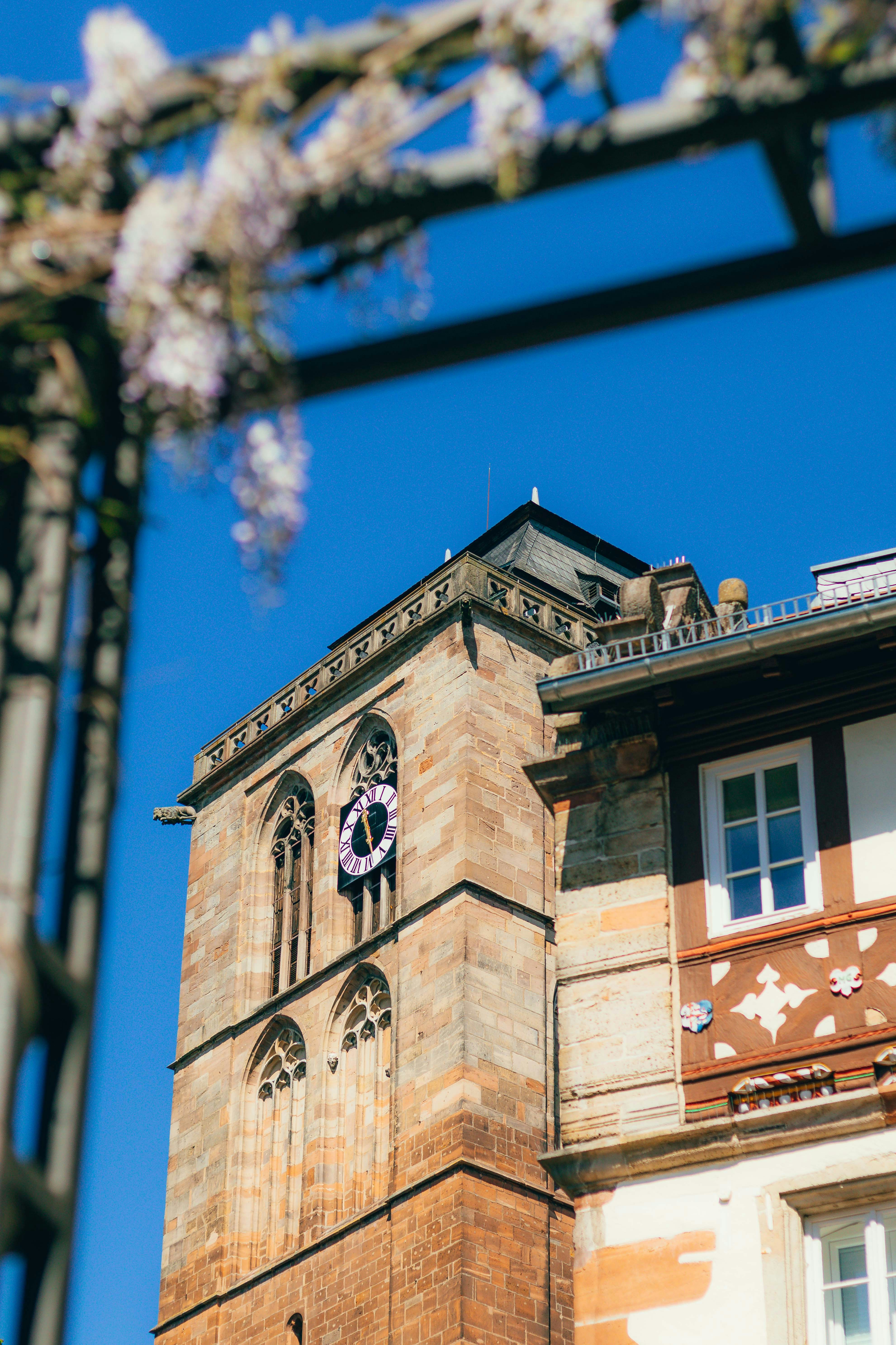 Clock Tower through a Floral Frame Under a Clear Blue Sky