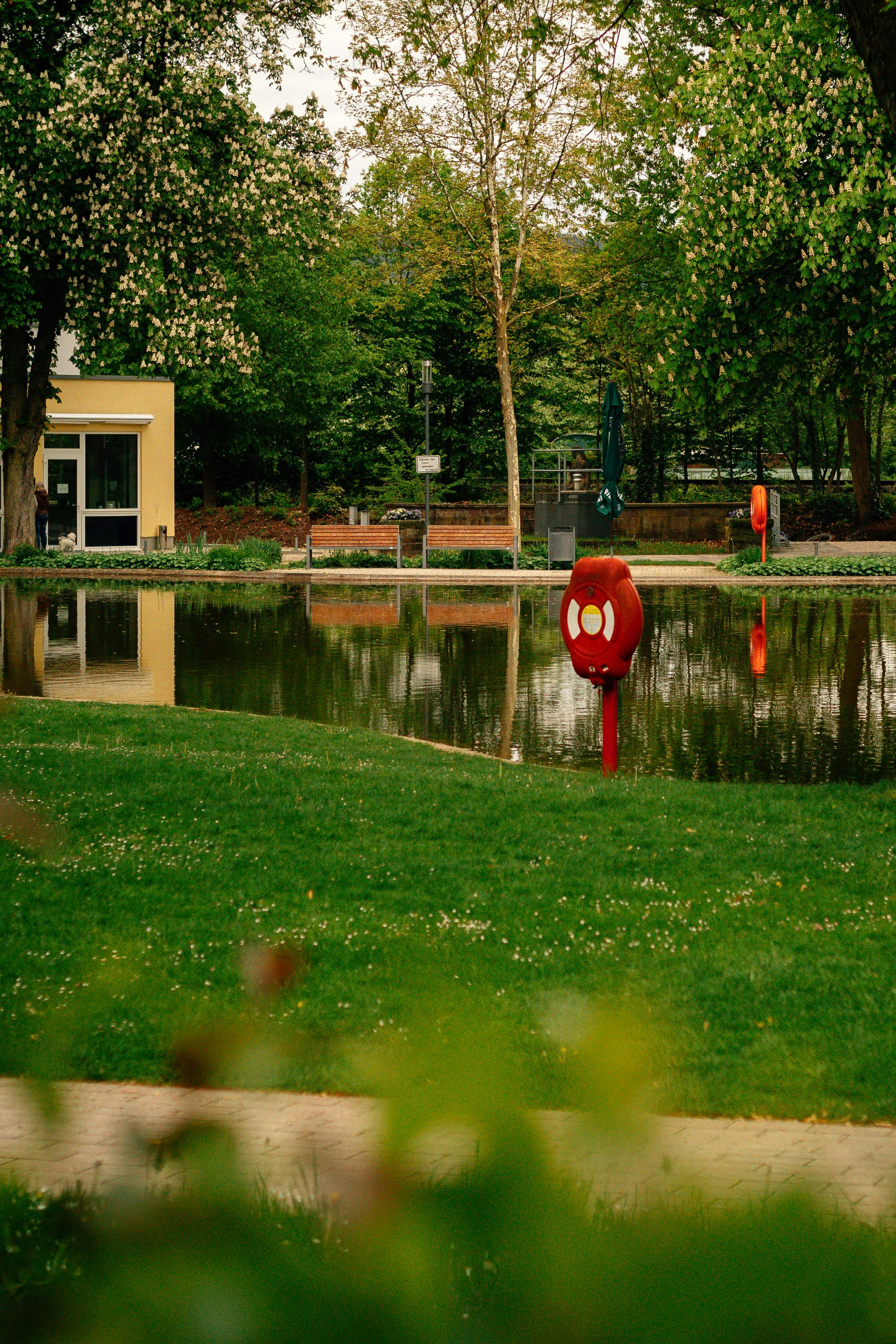 Red Sentinel by the Still Pond: A Spring Park Scene