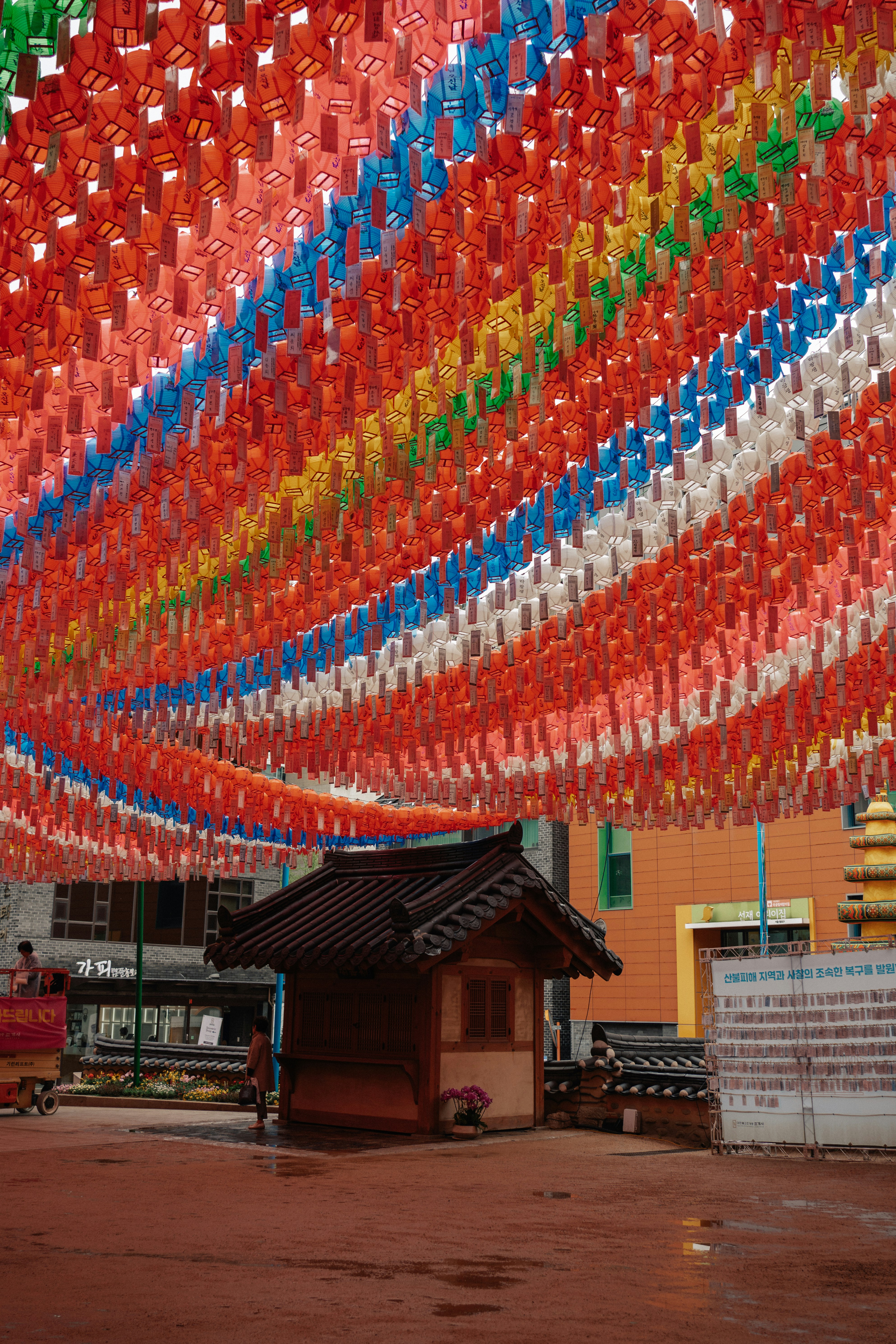 Photo by Loes Klinker with Sony Alpha 7 III