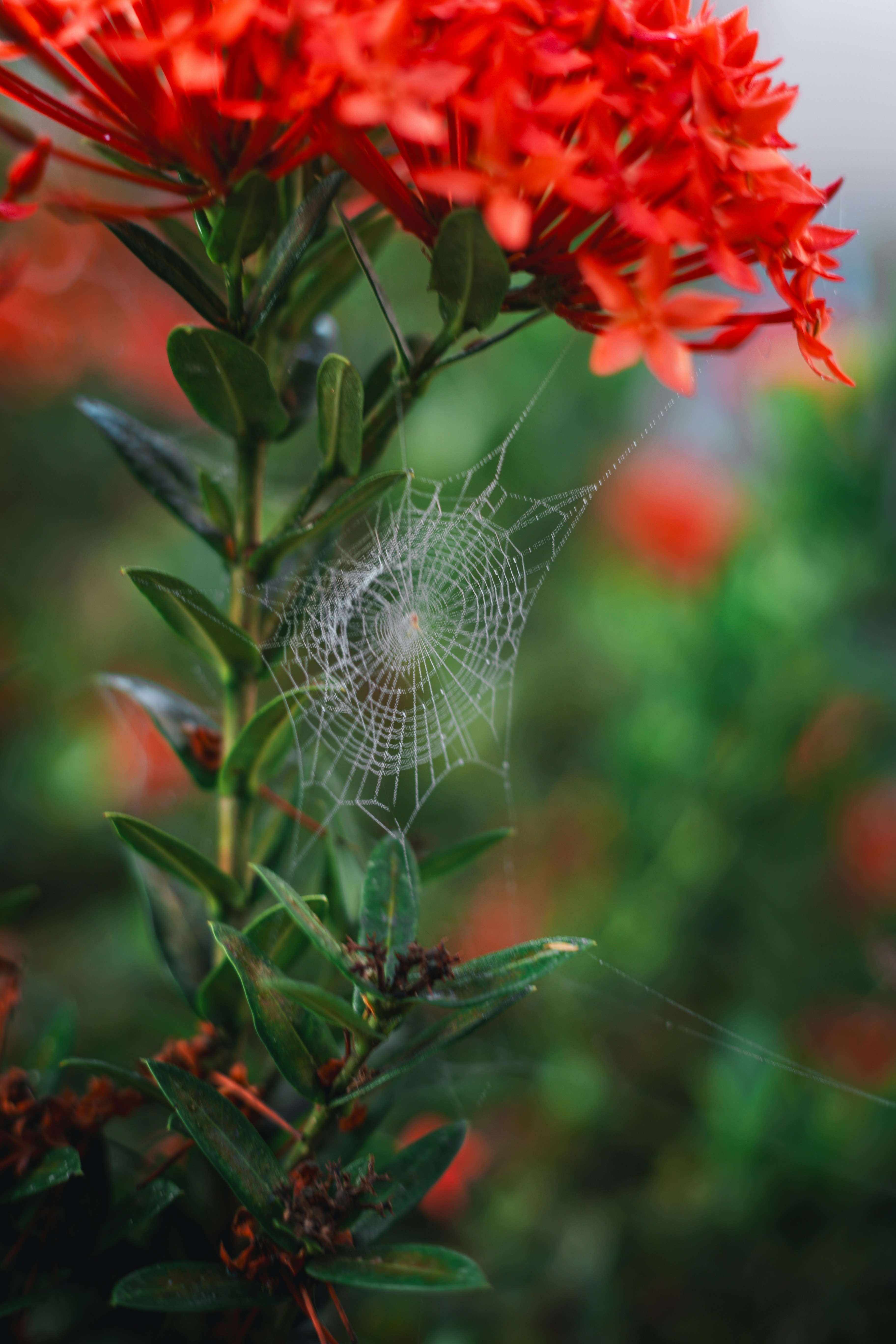 Photo by Kelem Figueiredo with Canon EOS 6D