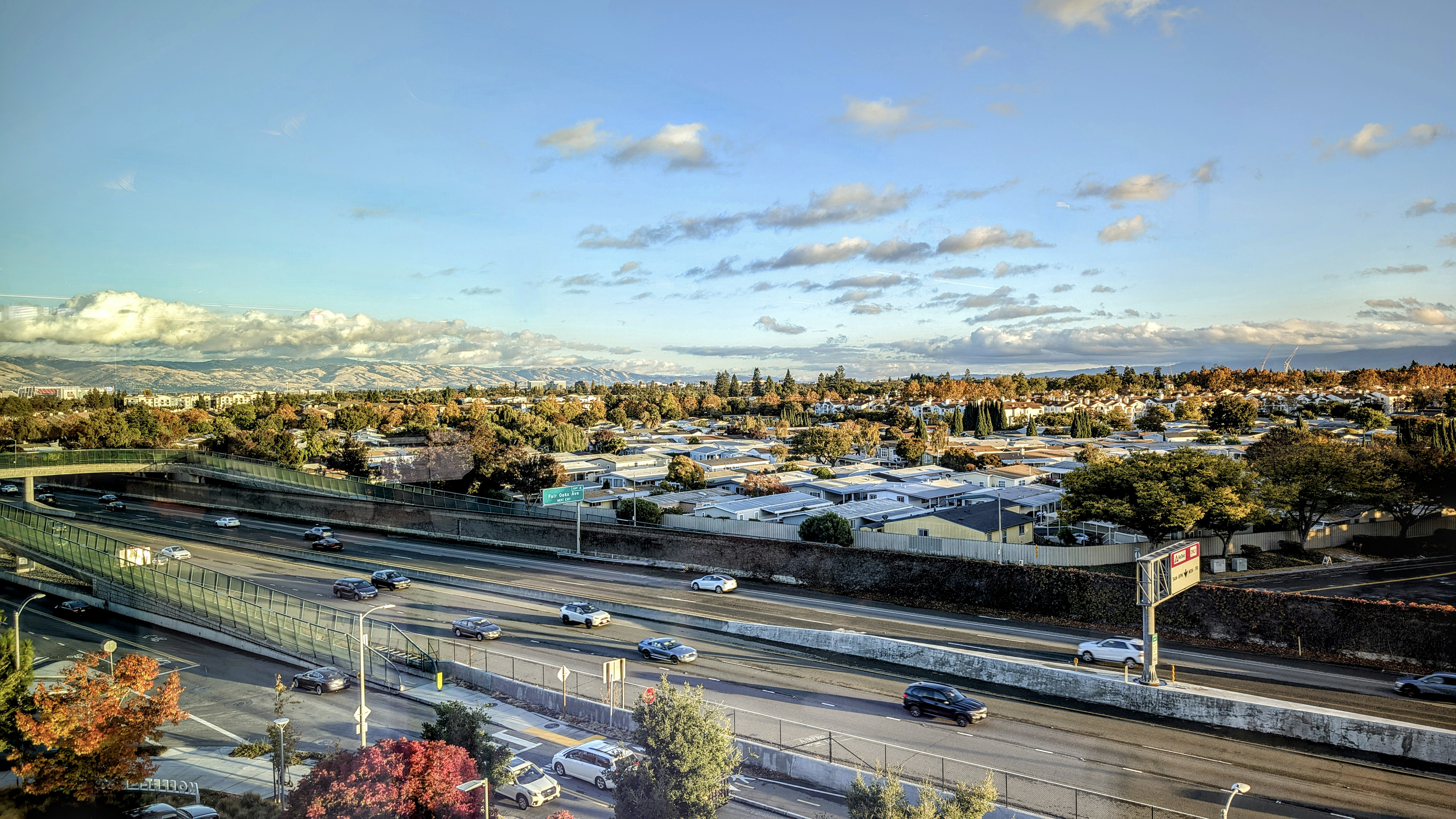 A panoramic view of a bustling urban landscape with highways and residential areas, showcasing the vibrancy of city life. The scene is framed by colorful foliage in the foreground.