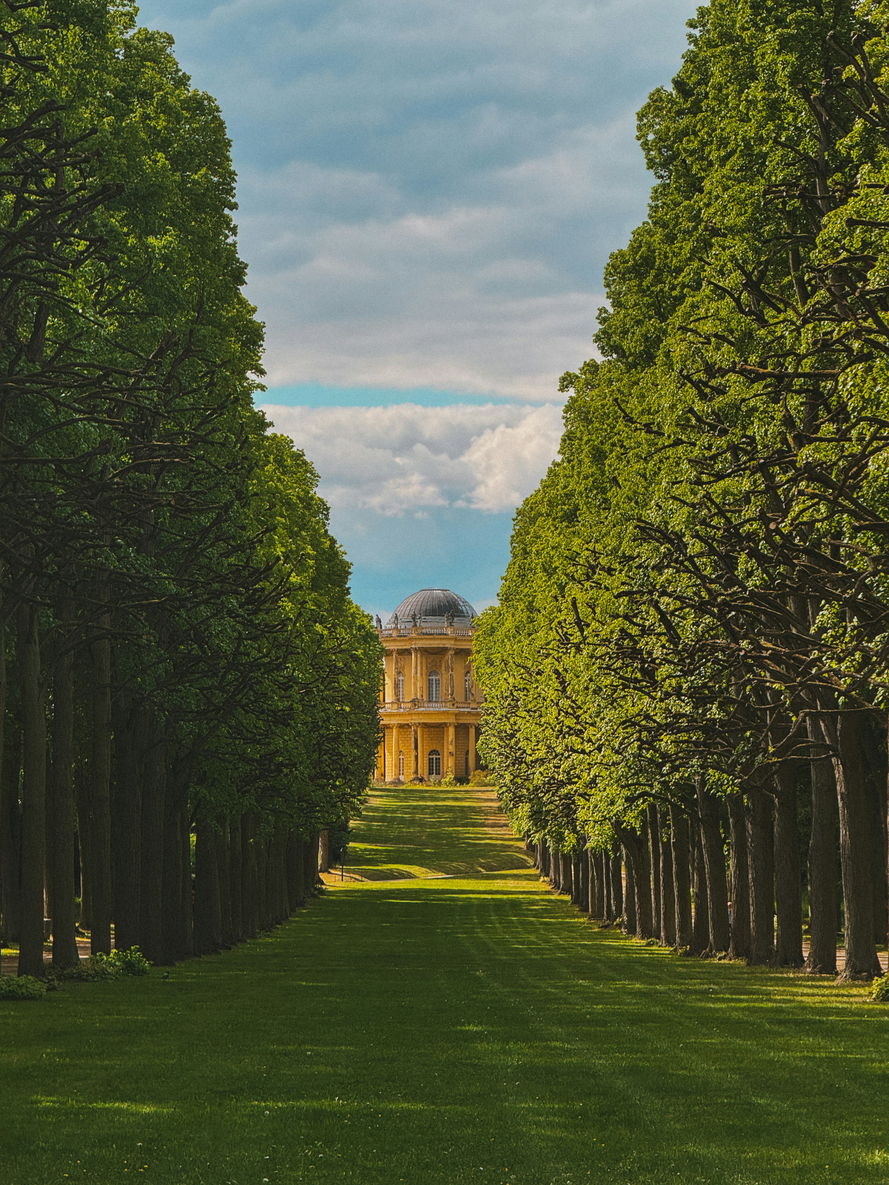 Pathway to a Golden Dome: Symmetry in Green