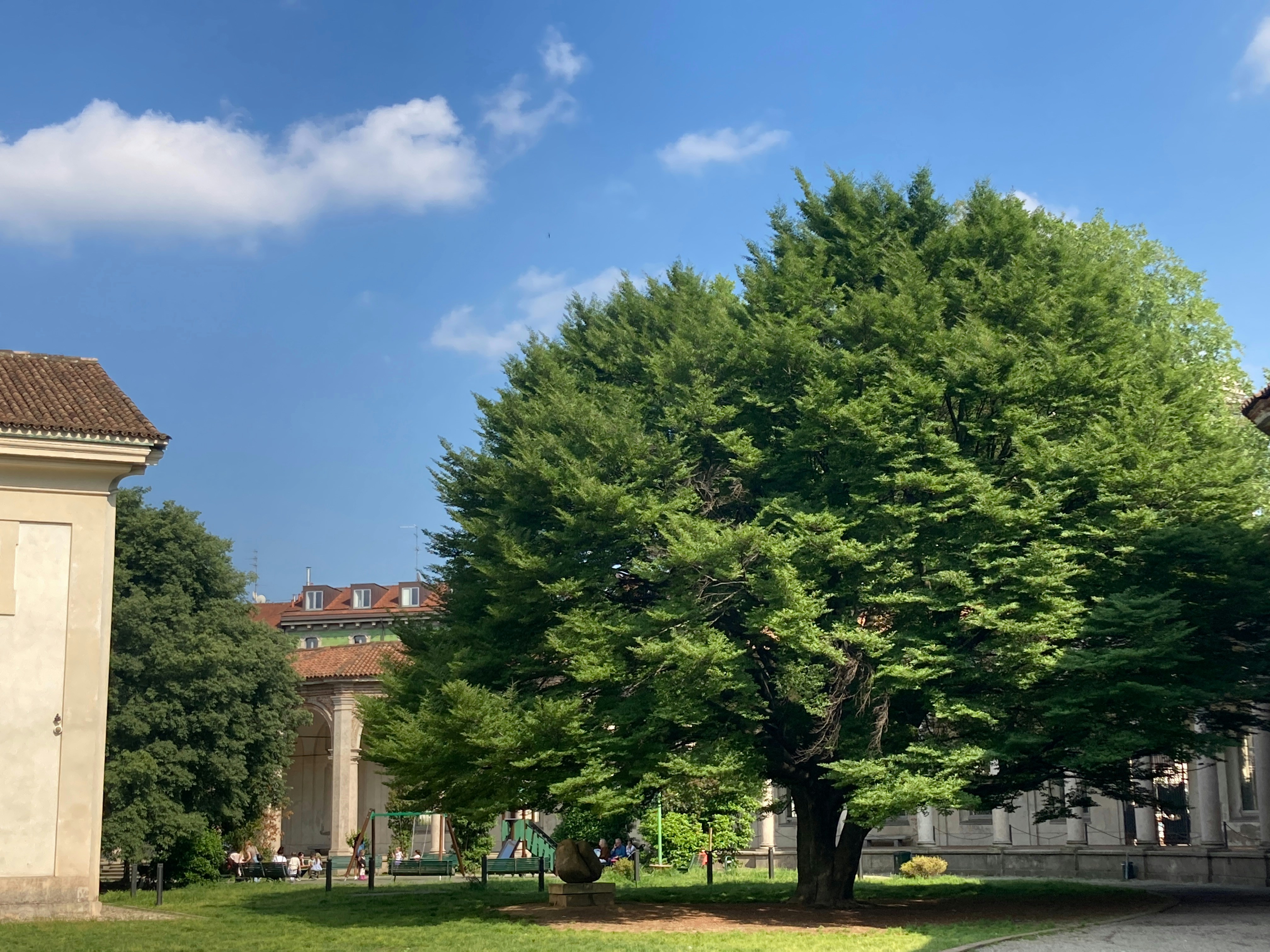 Quiet Plaza with a Guardian Tree