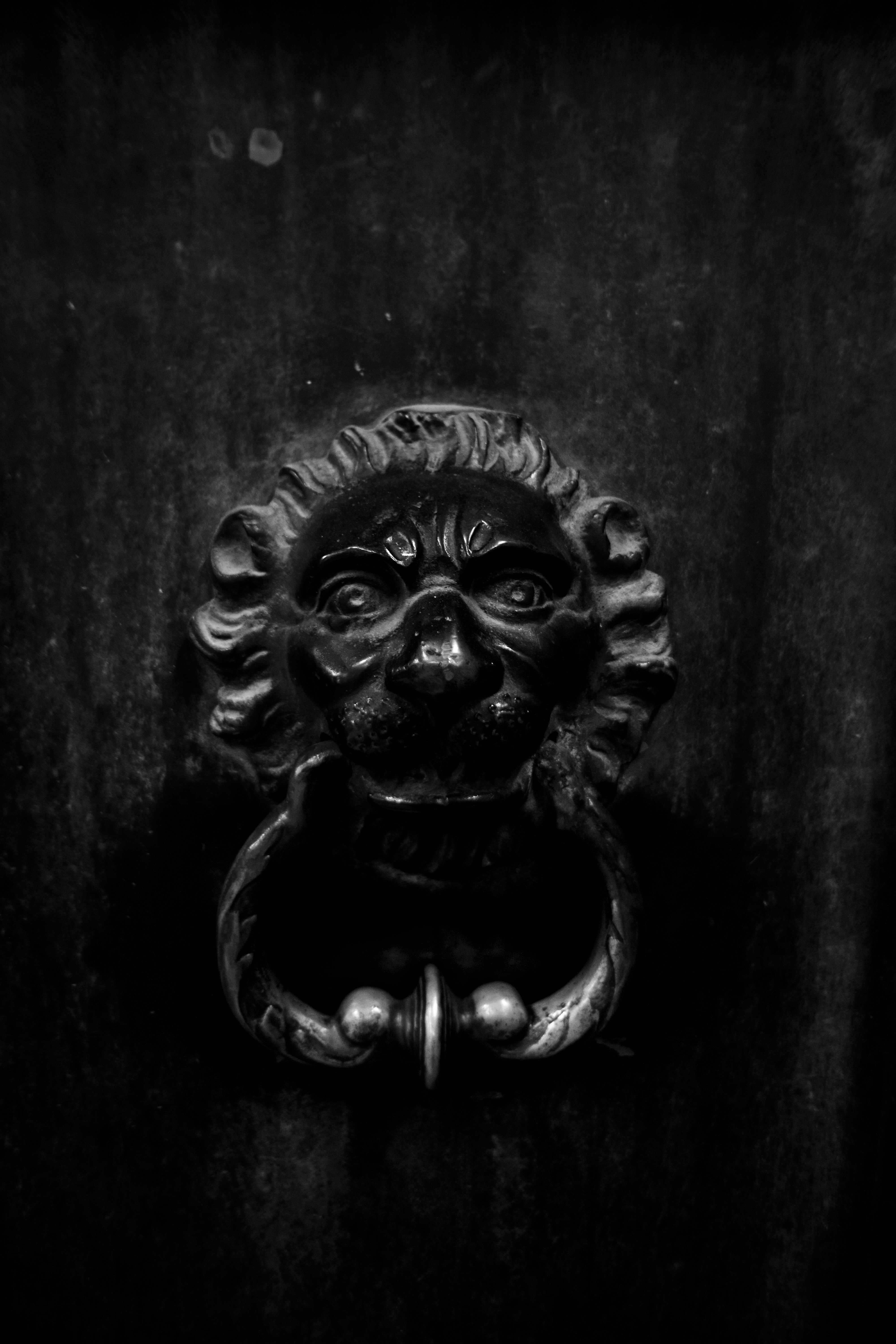 Intricate lion door knocker mounted on a dark wooden surface, exuding a sense of history and elegance.