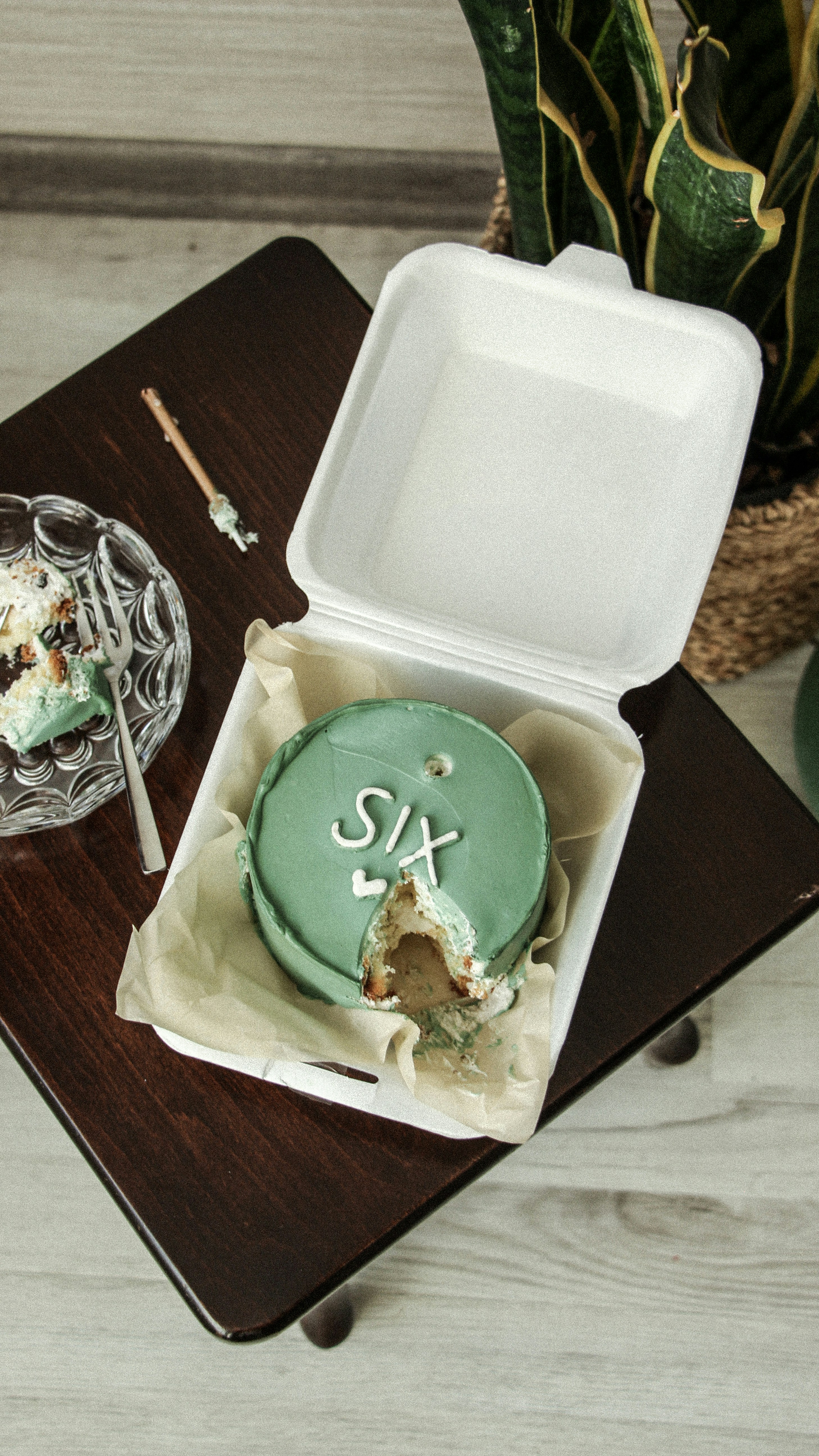 A Sweet Celebration of Six