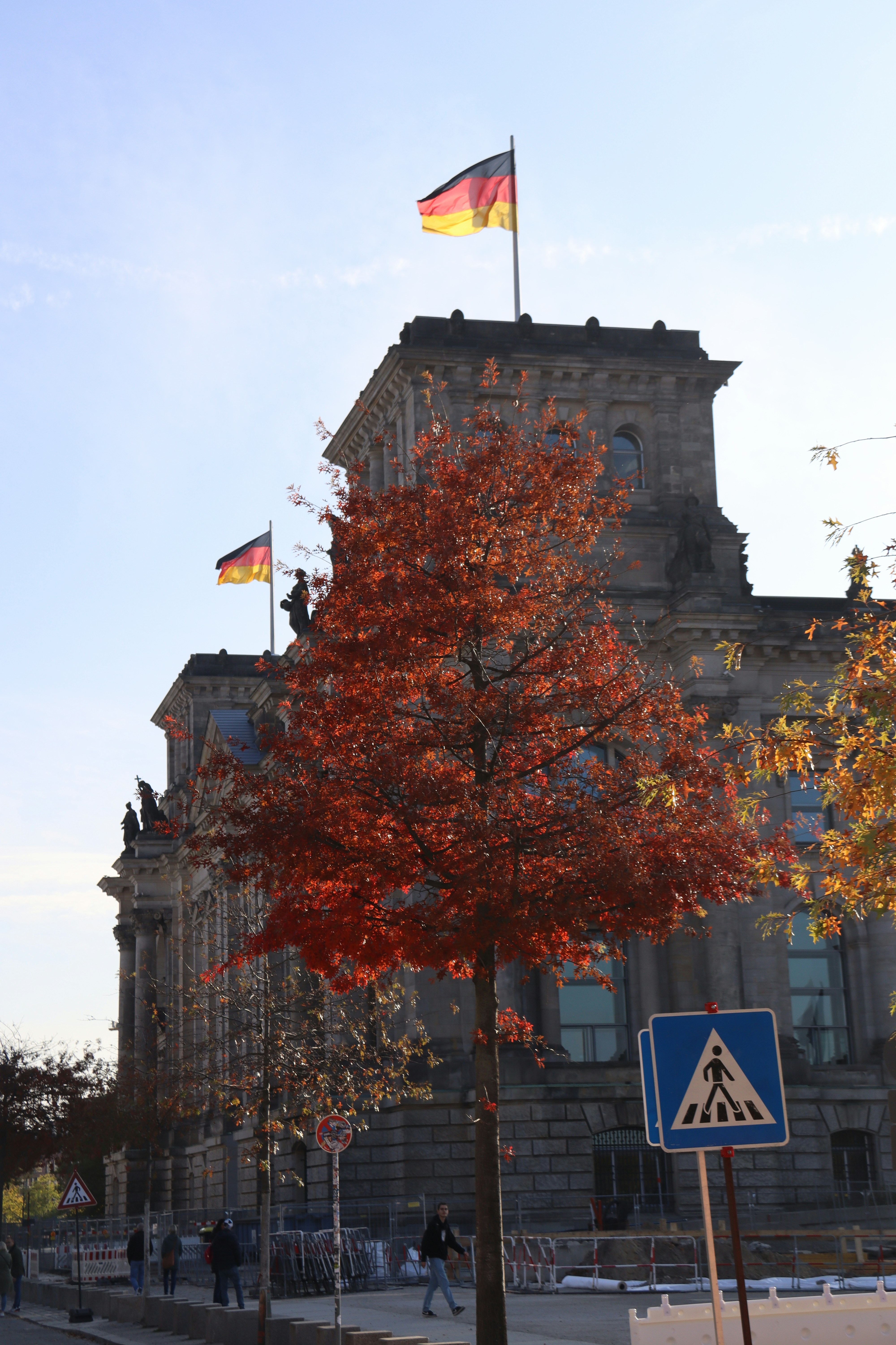 Autumn Flagged Facade: A German City Hall with Red-leaved Tree