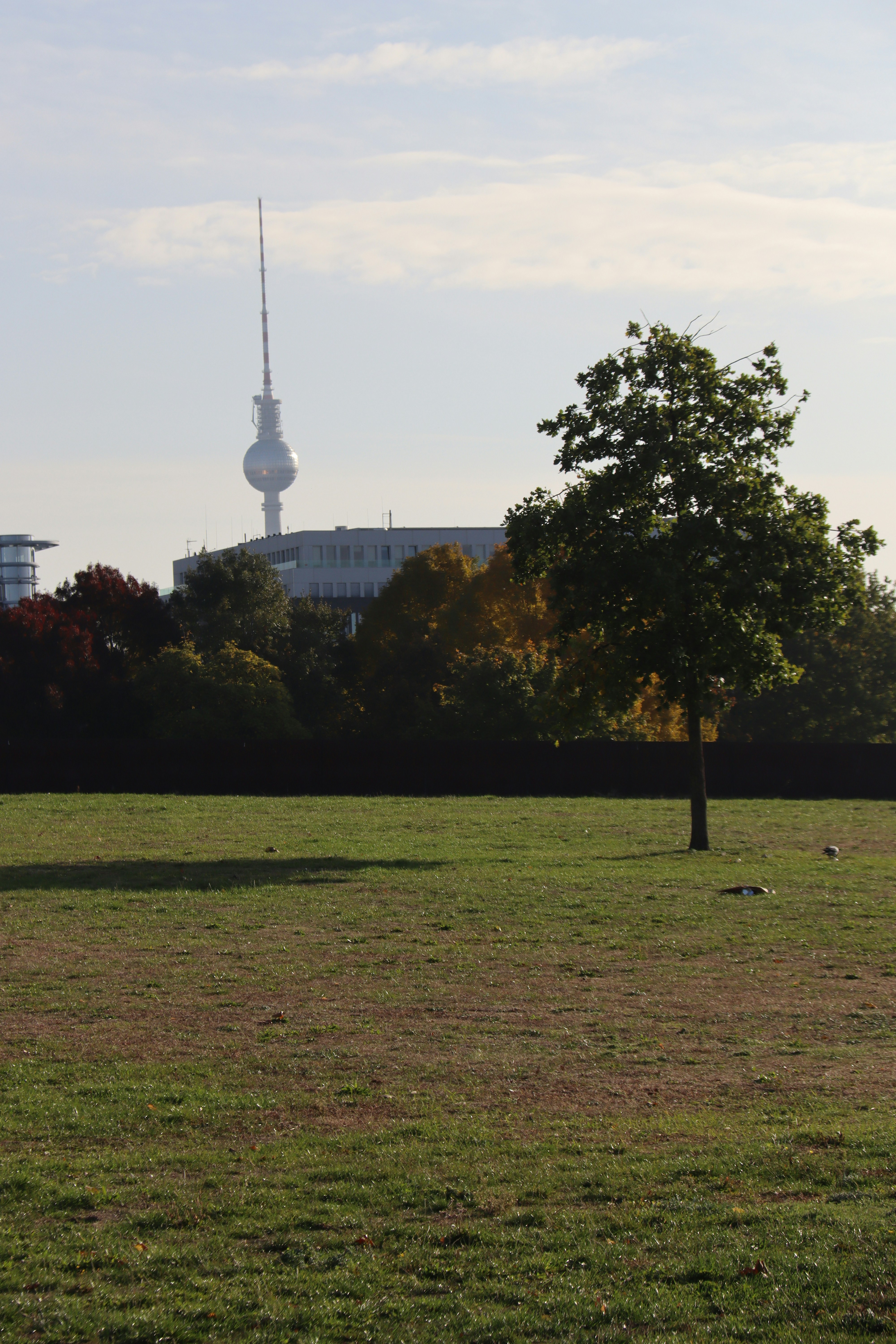Berlin's Fernsehturm Rises Behind a Tranquil Park