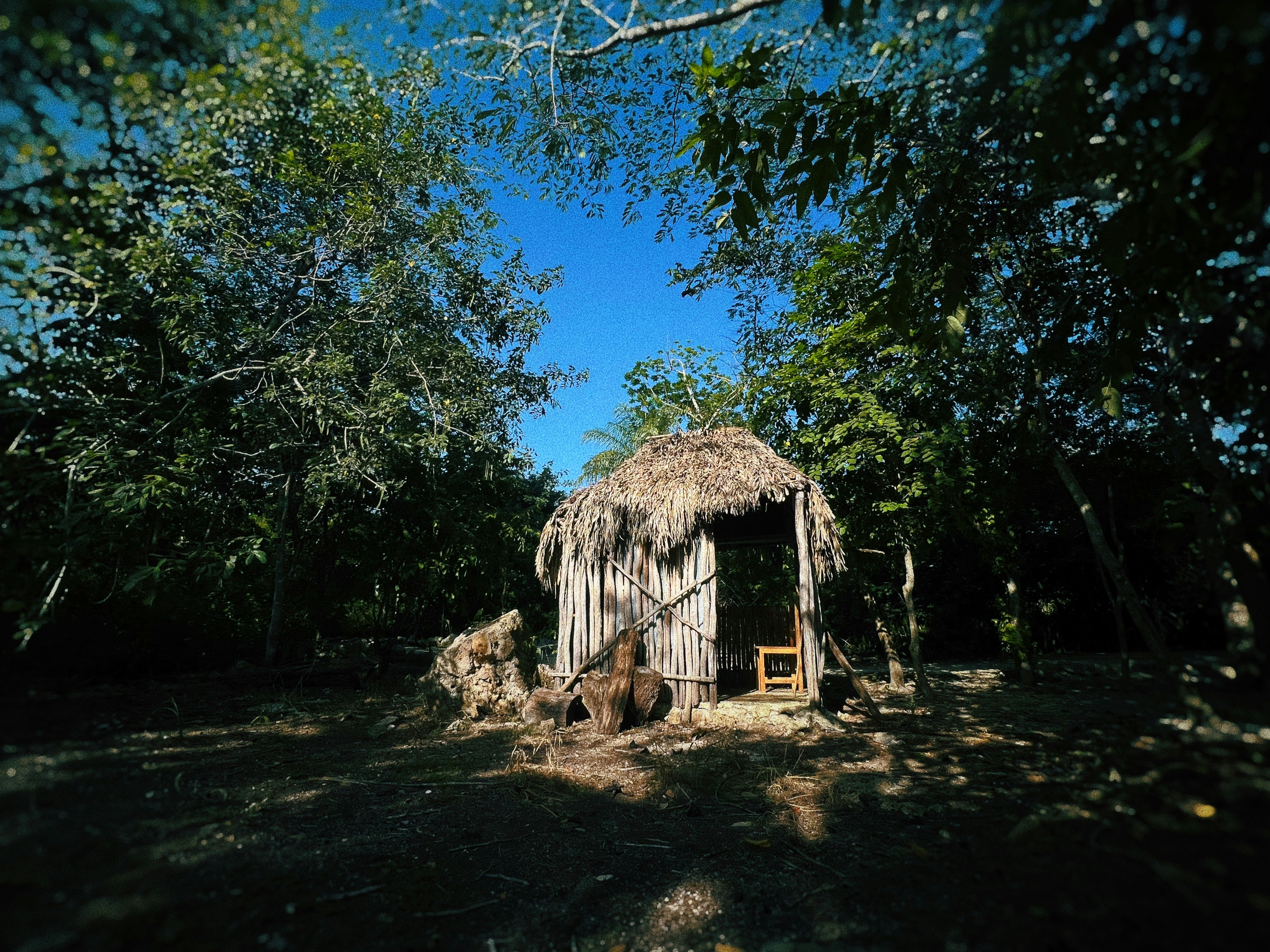 A rustic hut stands amongst trees. photo – Free House Image on Unsplash
