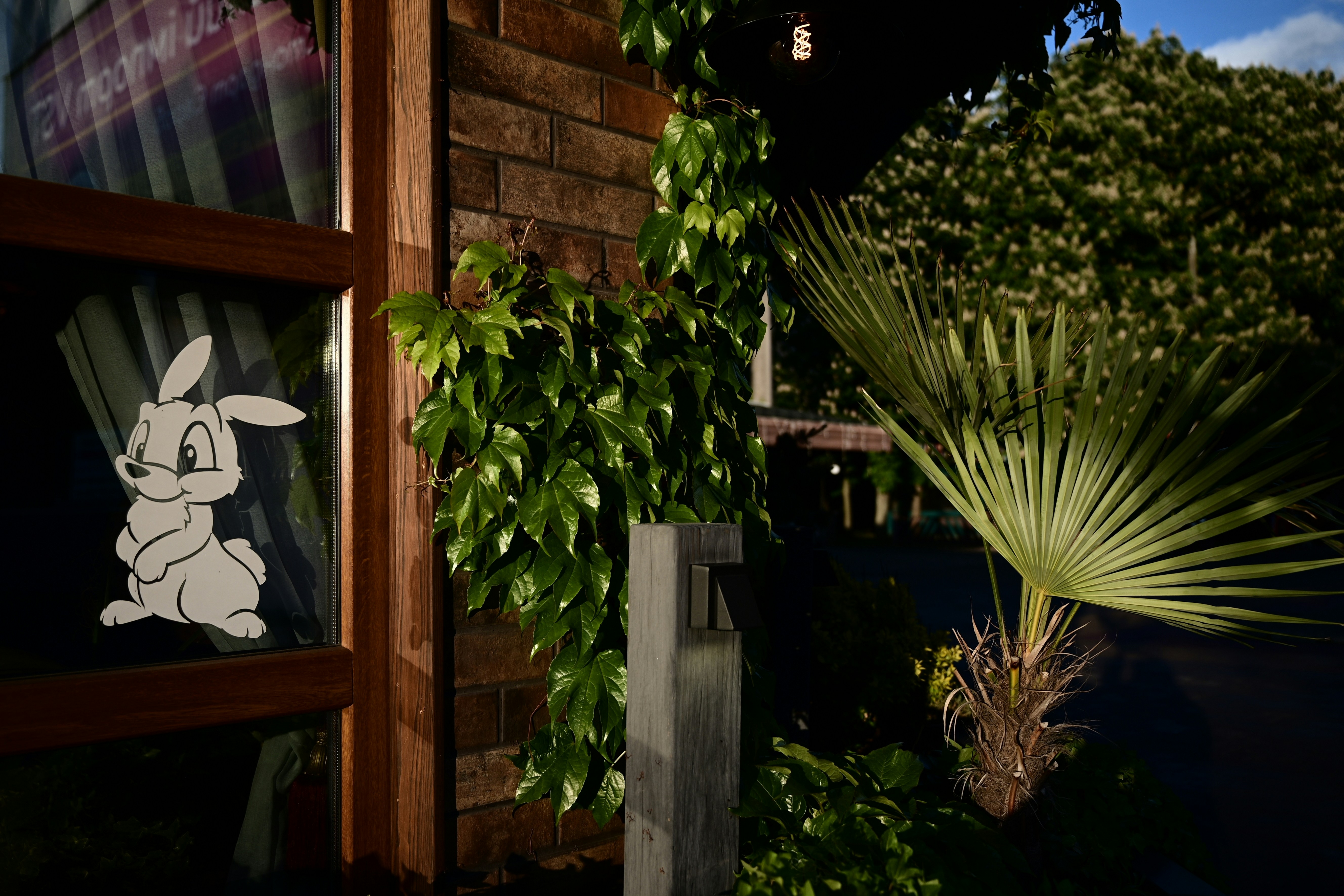 A charming moment of whimsy and nature: a cartoon bunny sticker peeks through a window as warm sunlight casts golden tones on green ivy and a fan palm nearby. The textures of brick, wood, and foliage contrast beautifully, while the palm reaches outward into the open space, suggesting a quiet suburban scene full of character and warmth.
