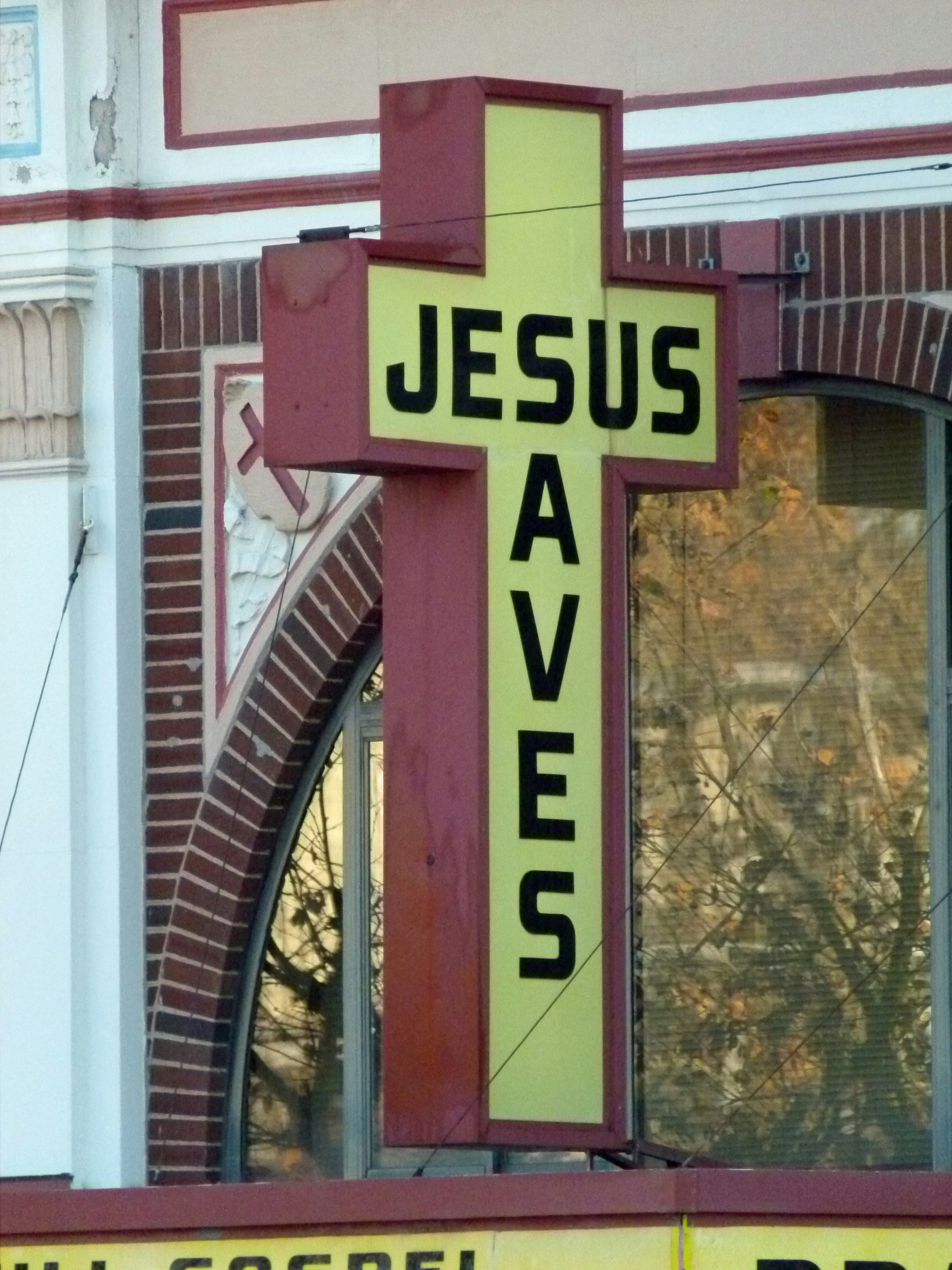 Photo by David Trinks with Panasonic Lumix FZ100