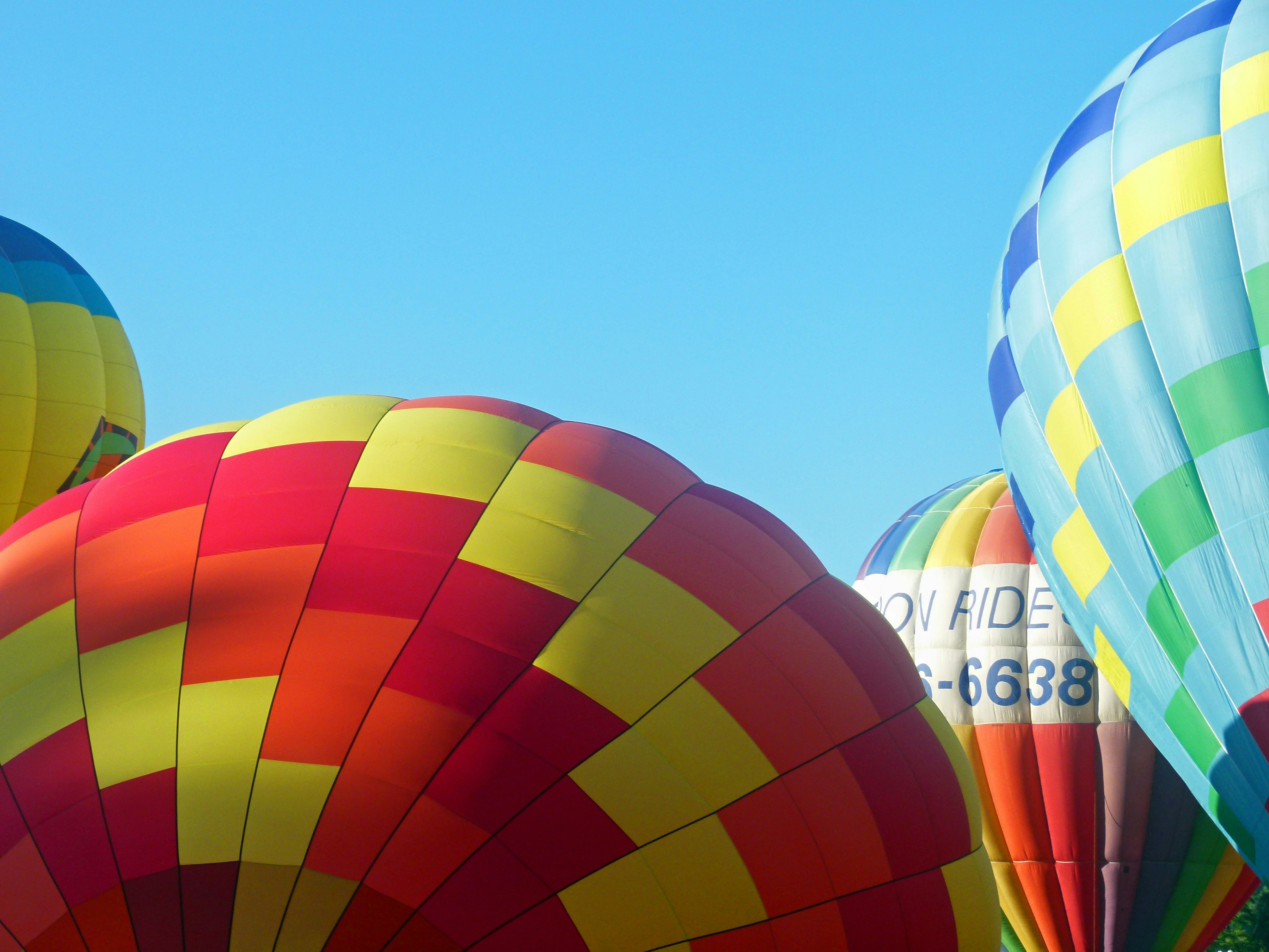 Photo by David Trinks with Panasonic Lumix FZ100