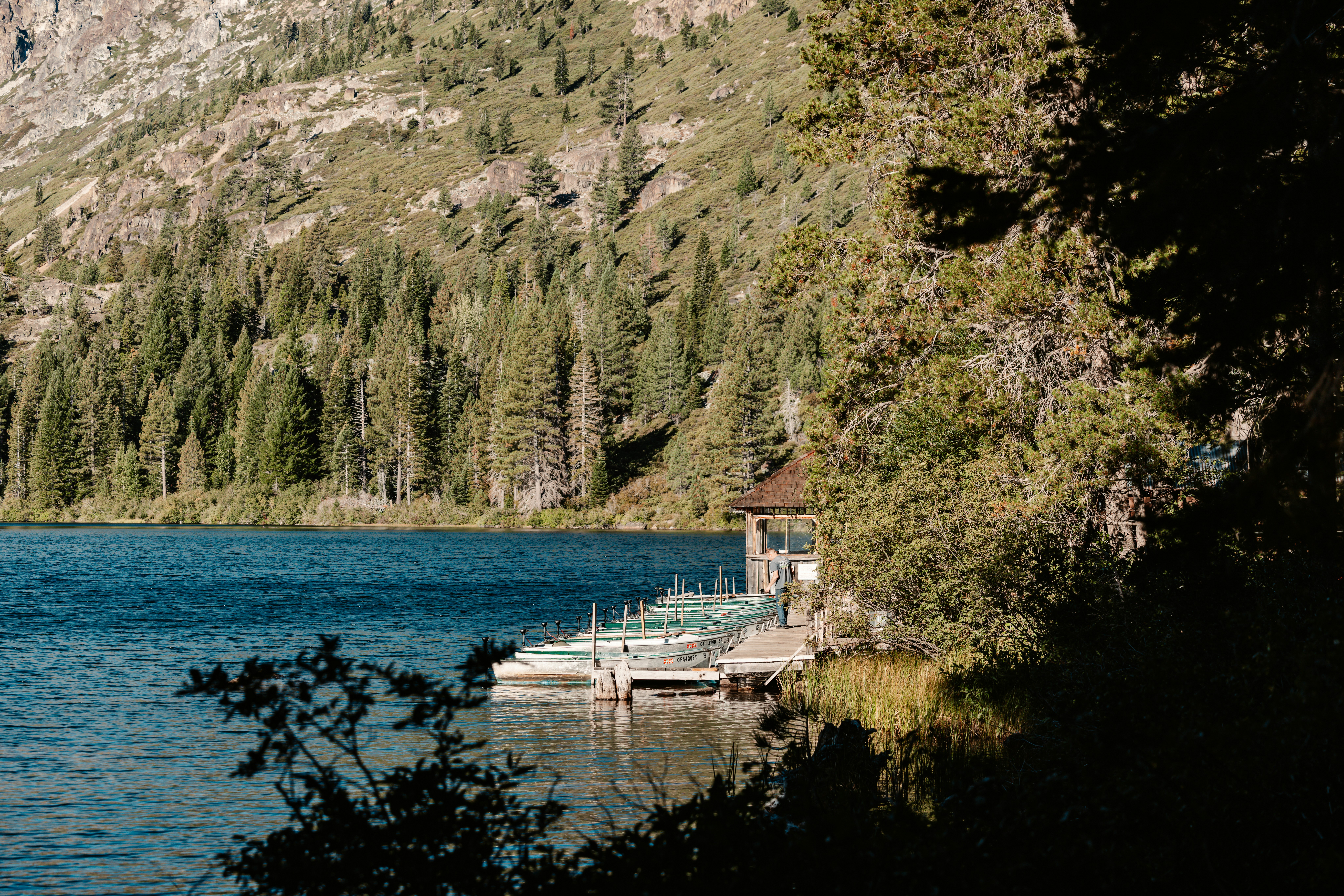 A dock on a lake is surrounded by trees. photo – Free Mountains Image ...