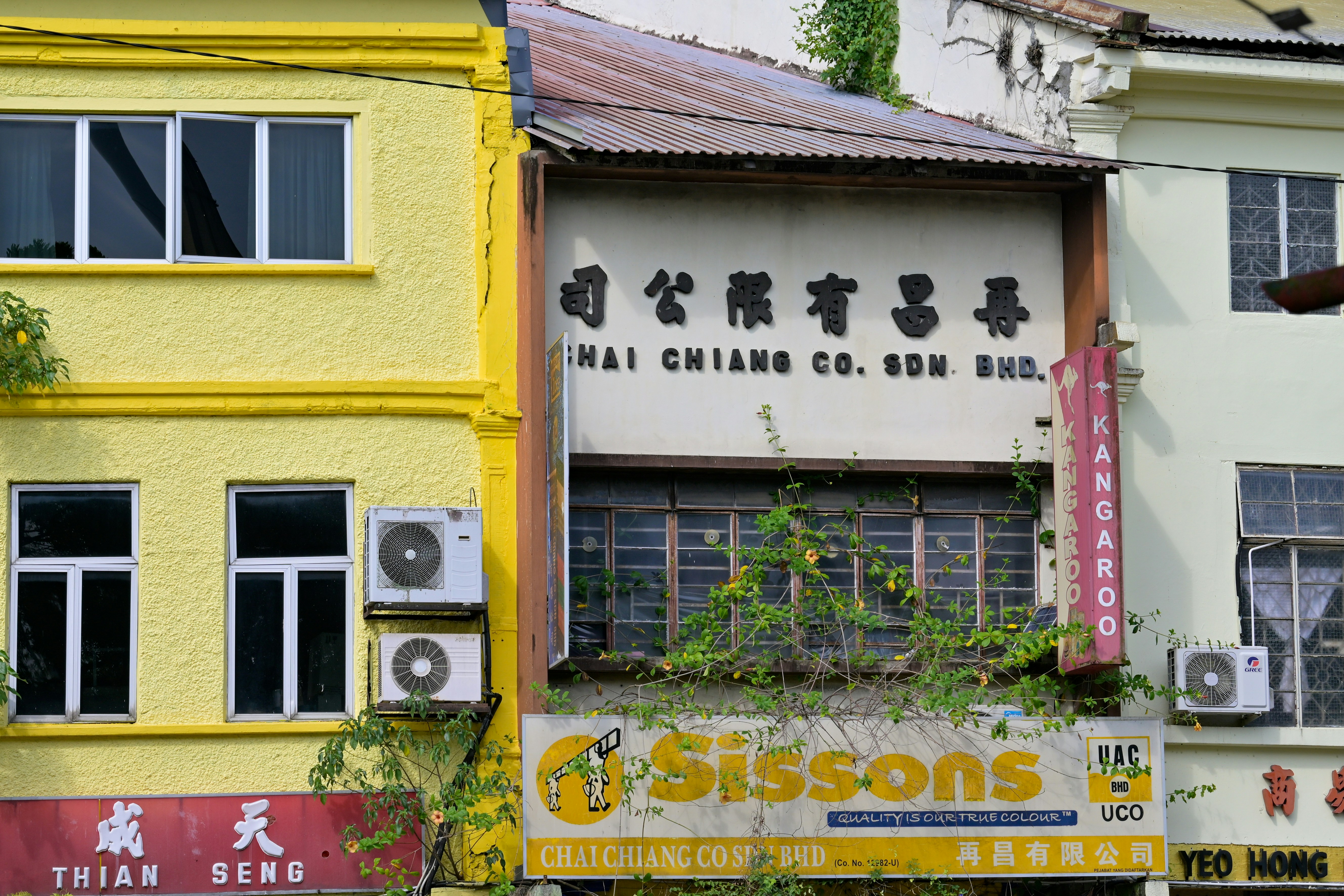Sunlit Facades in a Palette of Yellow, White, and Green with Ivy-Clad Signage