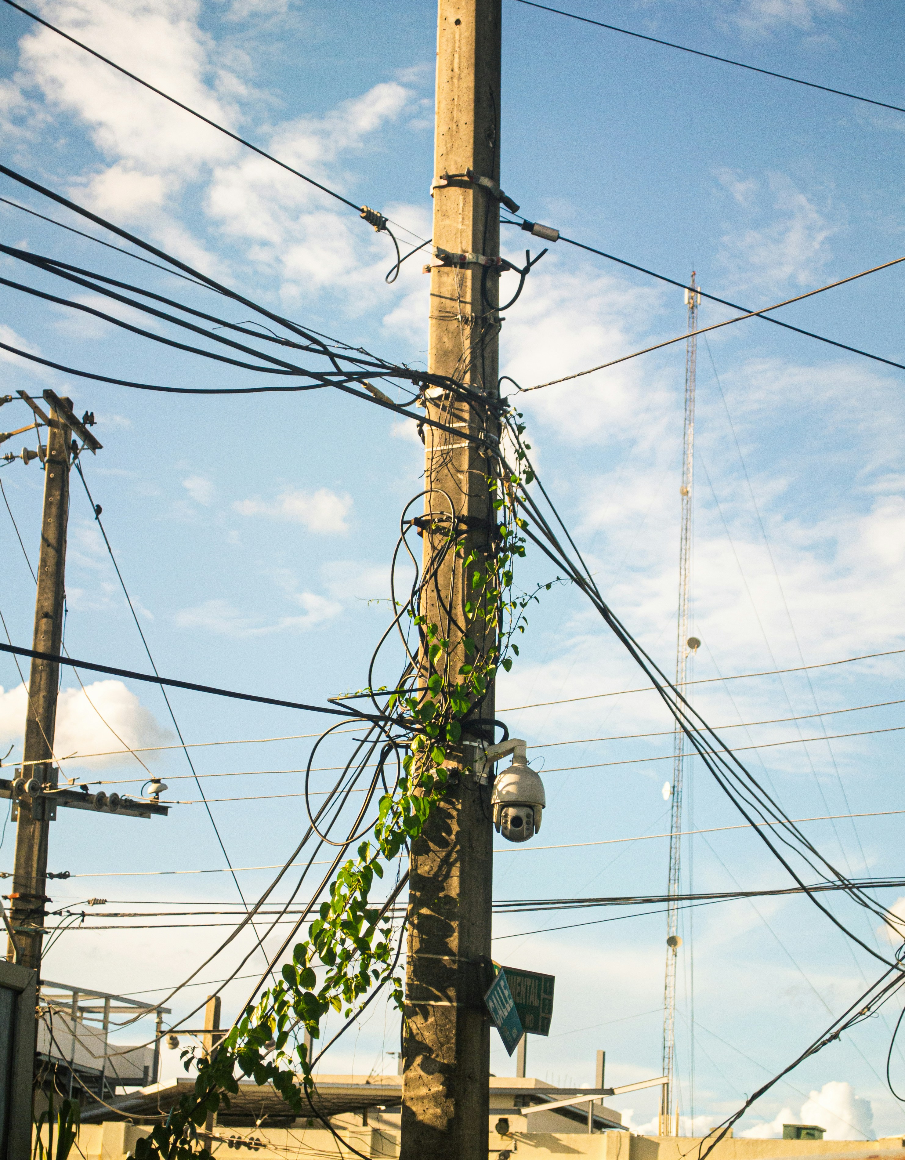 Power lines, a security camera, and climbing vines. photo – Free ...