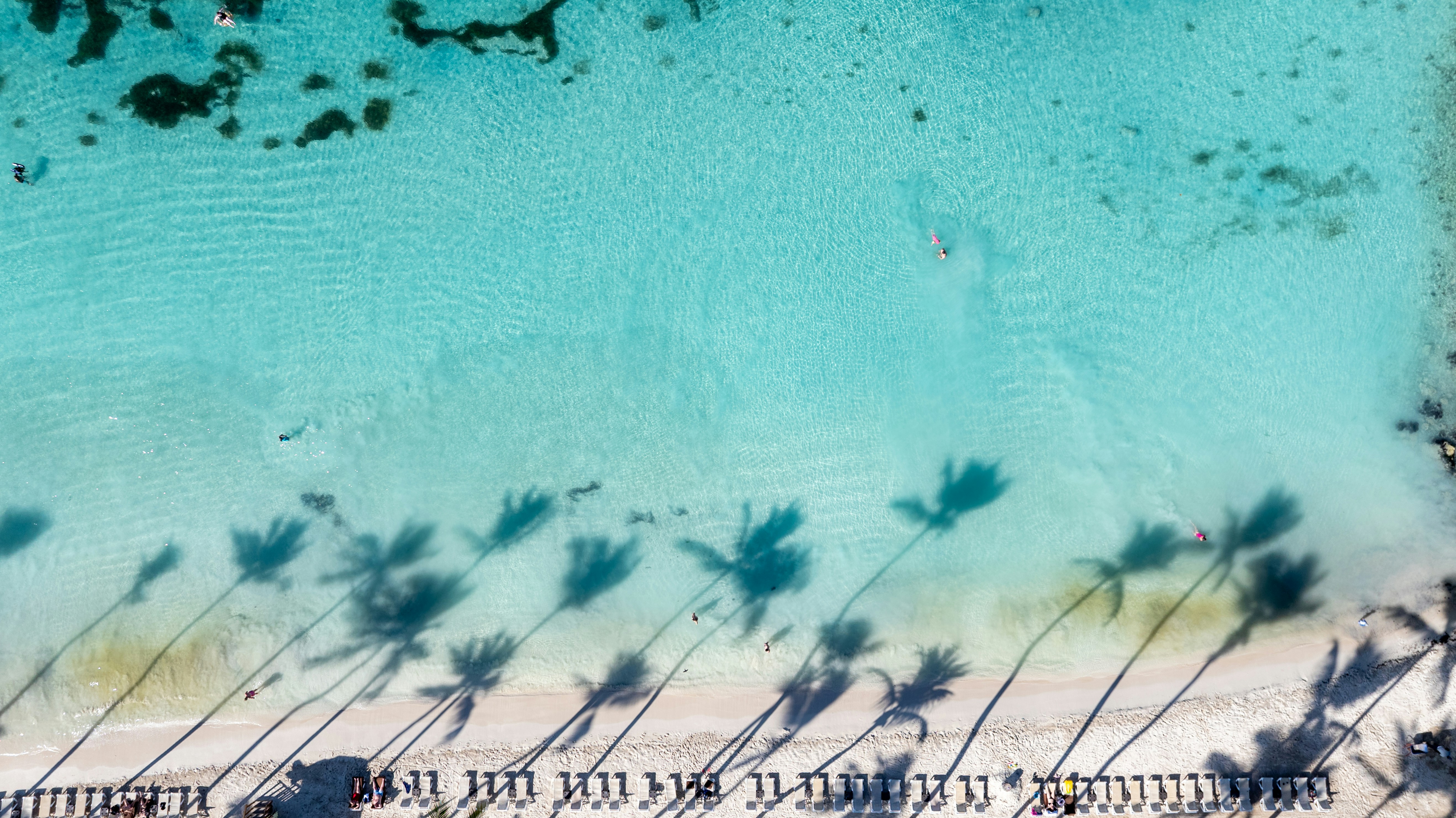 Osman Rana (@osmanrana) | Unsplash Photo Community