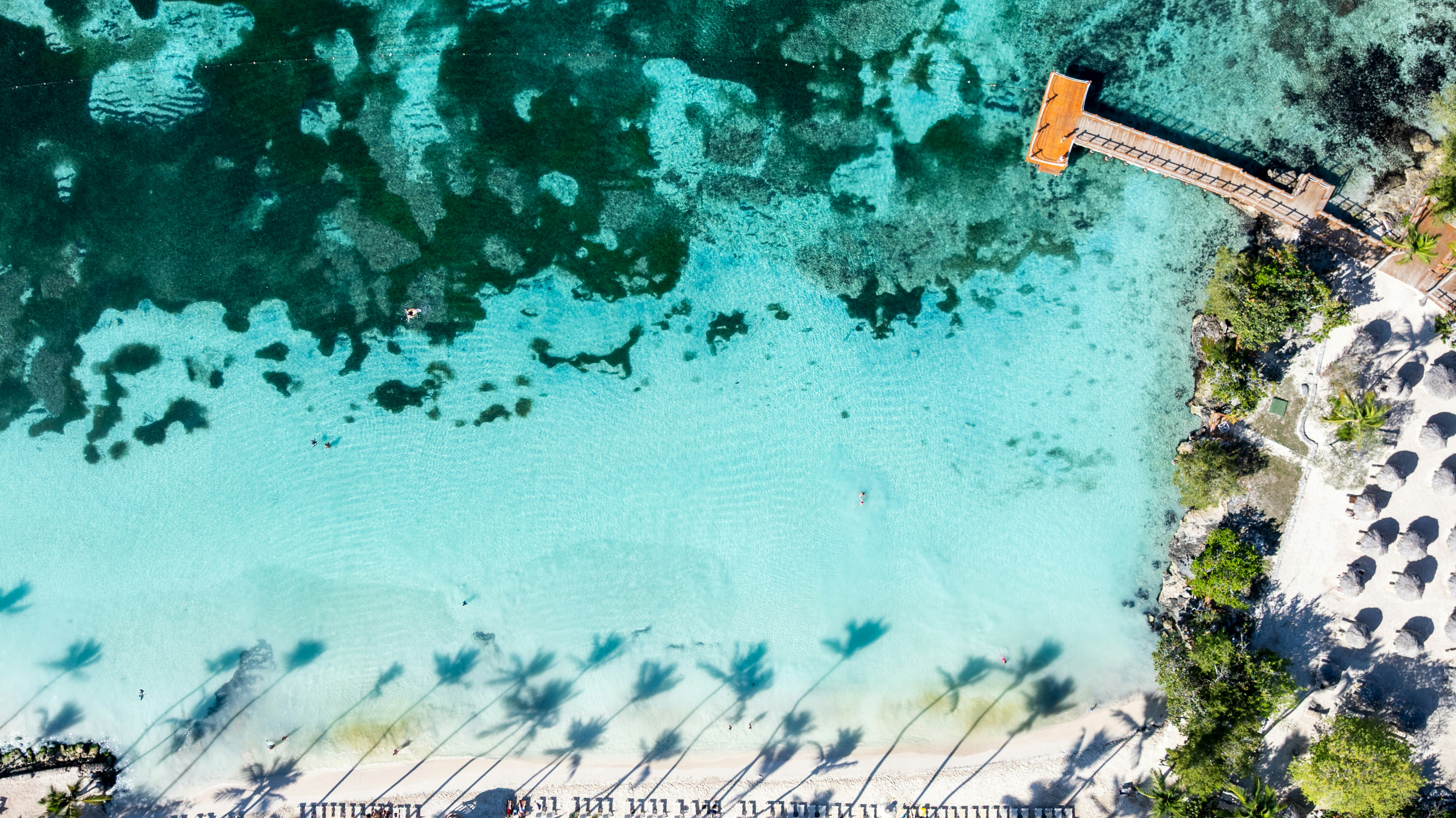 Osman Rana (@osmanrana) | Unsplash Photo Community