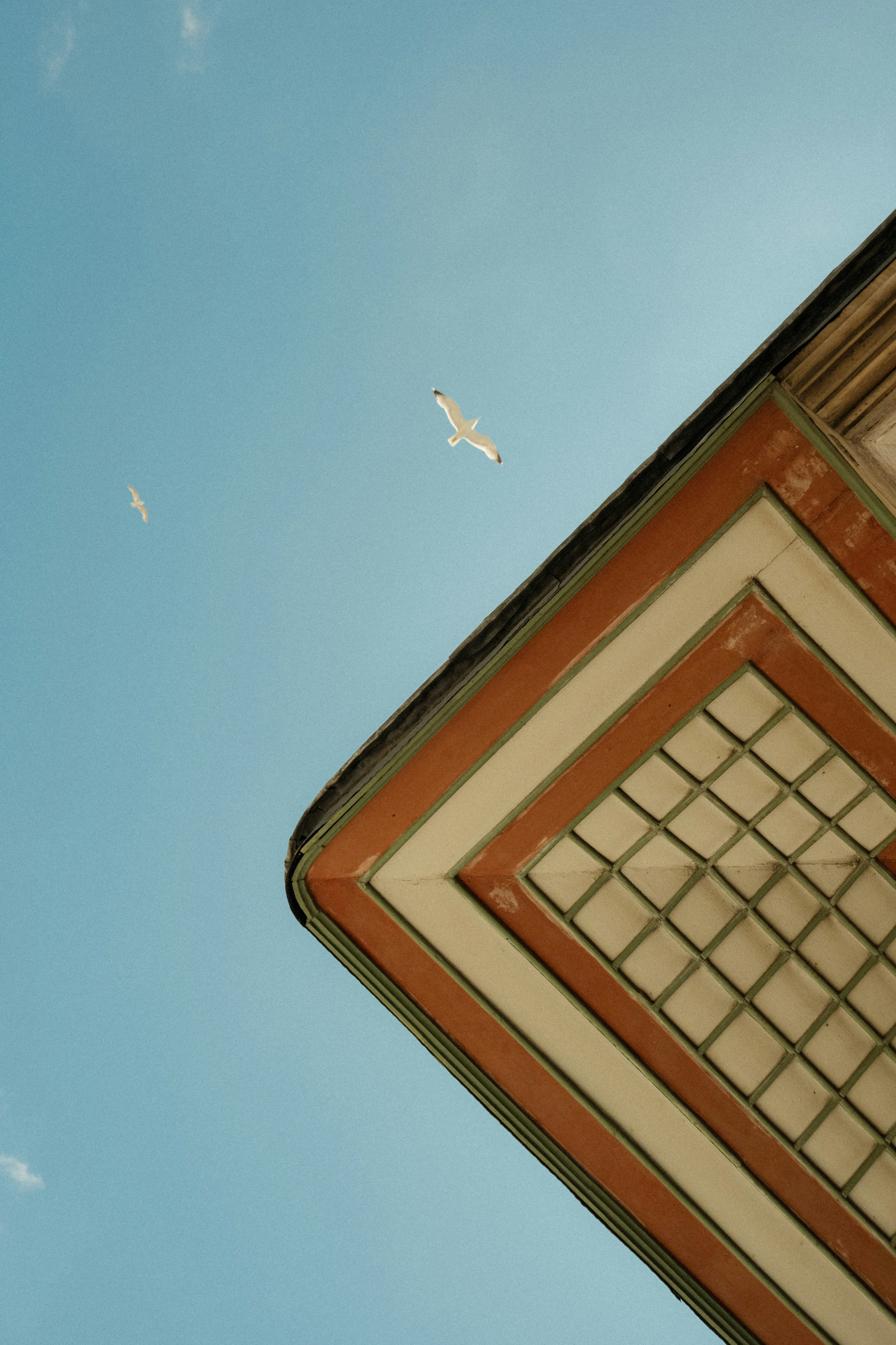 Diagonal Edge and Free-Flying Seagulls over a Red-Trim Facade