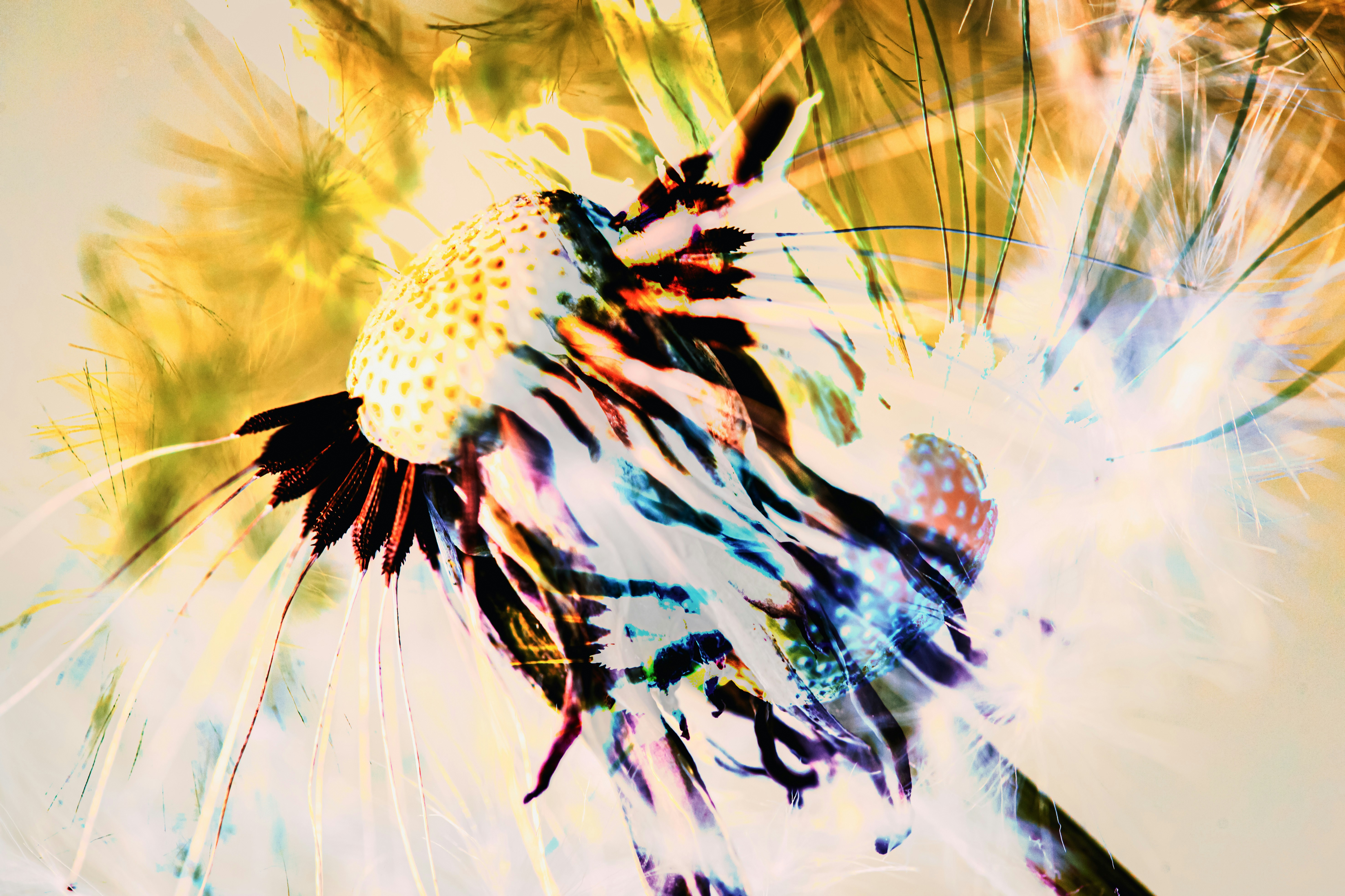 Photo by MARIOLA GROBELSKA with Canon EOS 6D Mark II