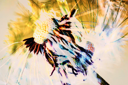 Neon Fracture: Macro Portrait of a Floral Seed Head in Motion