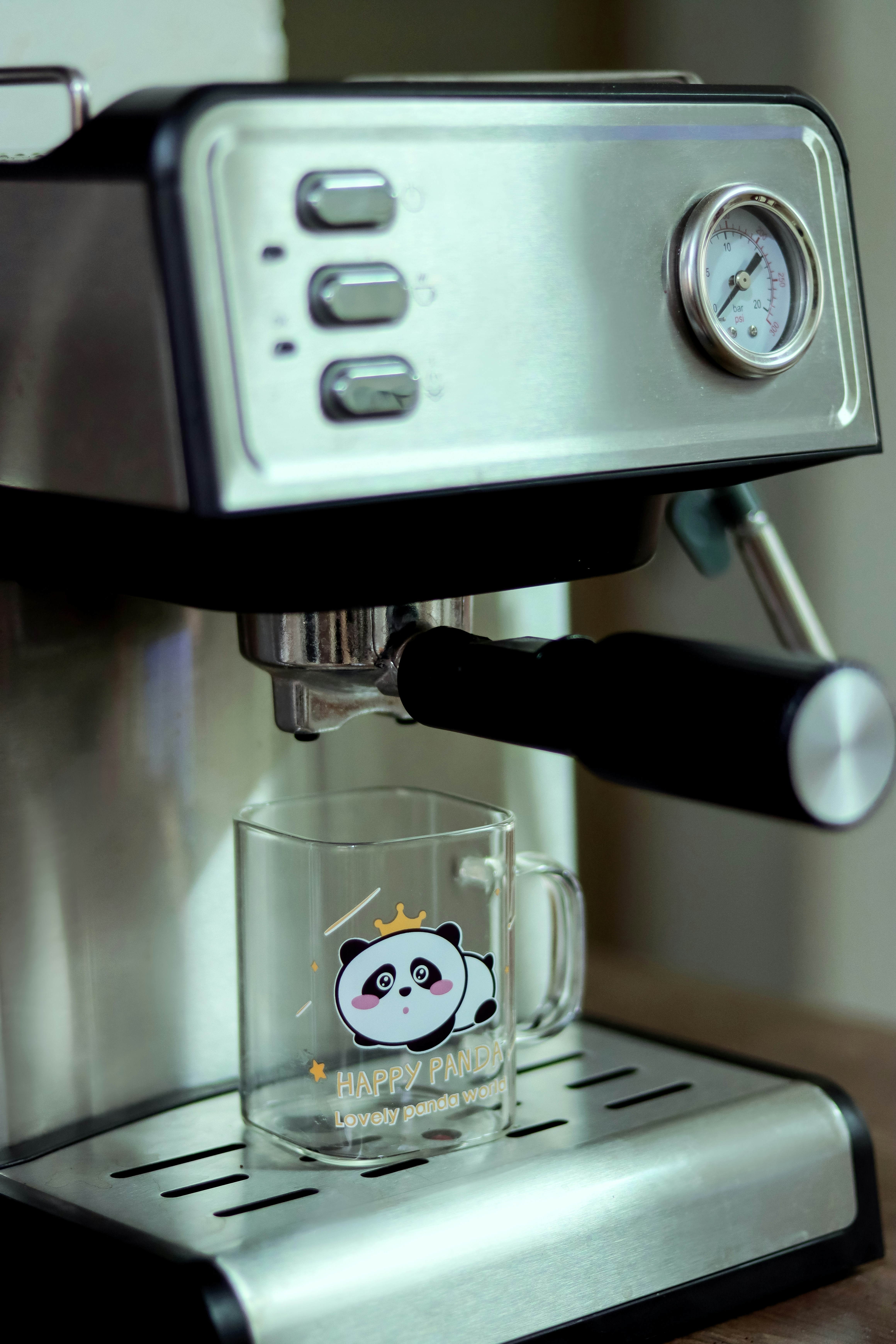 The Charming Brew: A Panda's Delight